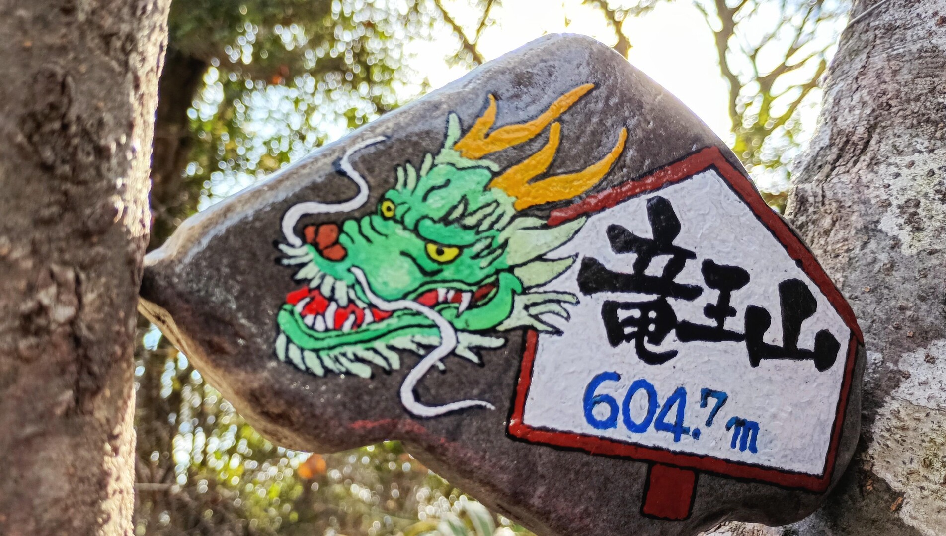 2024辰年🐉ラスト…竜王山 / miyuさんの金勝アルプス（鶏冠山・竜王山）の活動日記 | YAMAP / ヤマップ