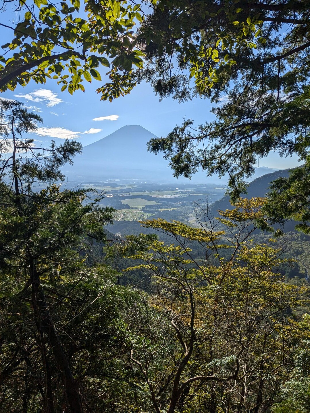 毛無山（三角点） / junyaさんの毛無山・雨ヶ岳・竜ヶ岳の活動データ | YAMAP / ヤマップ