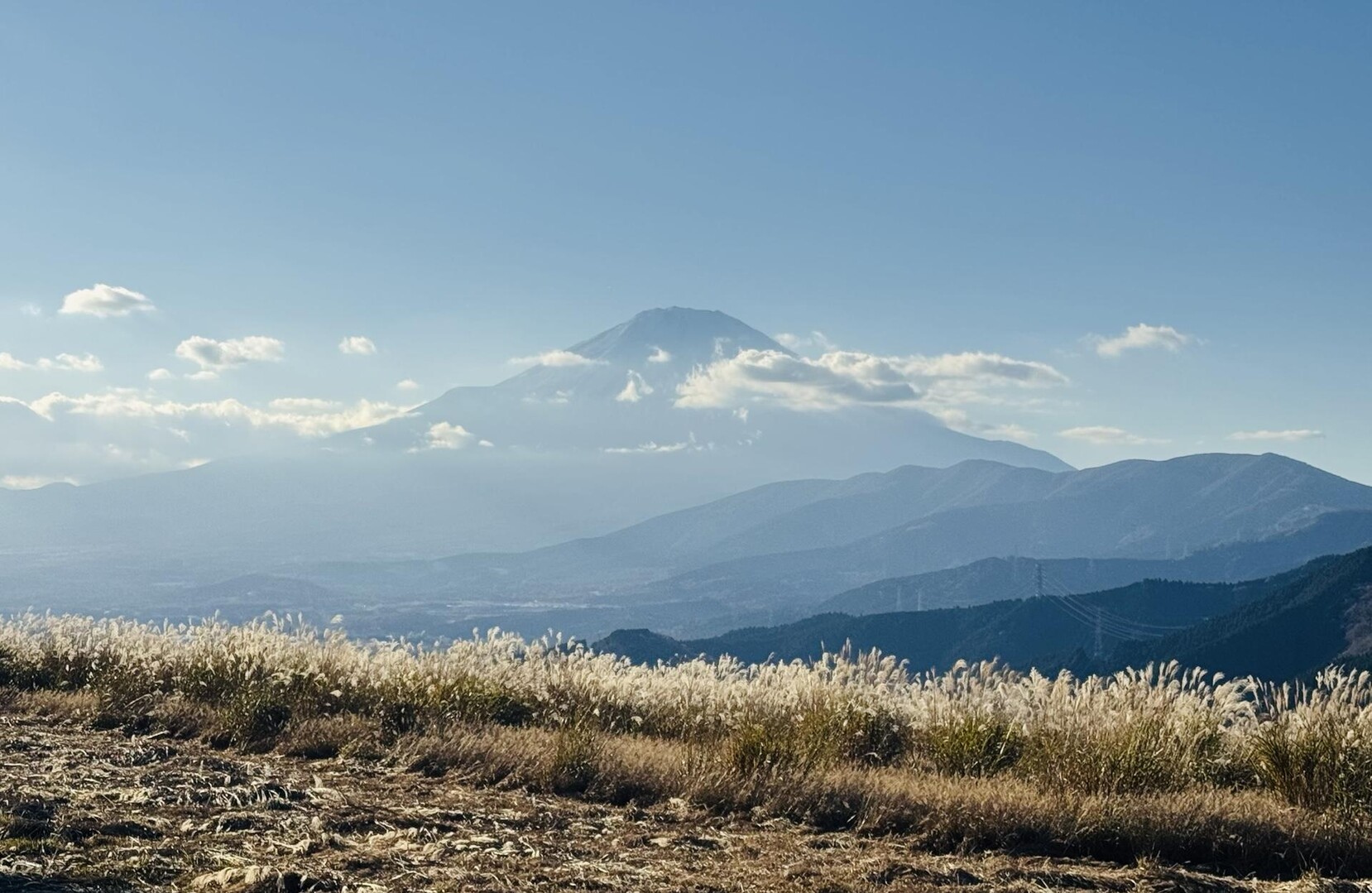 大野山 / ayakaさんの高松山・大野山の活動データ | YAMAP / ヤマップ