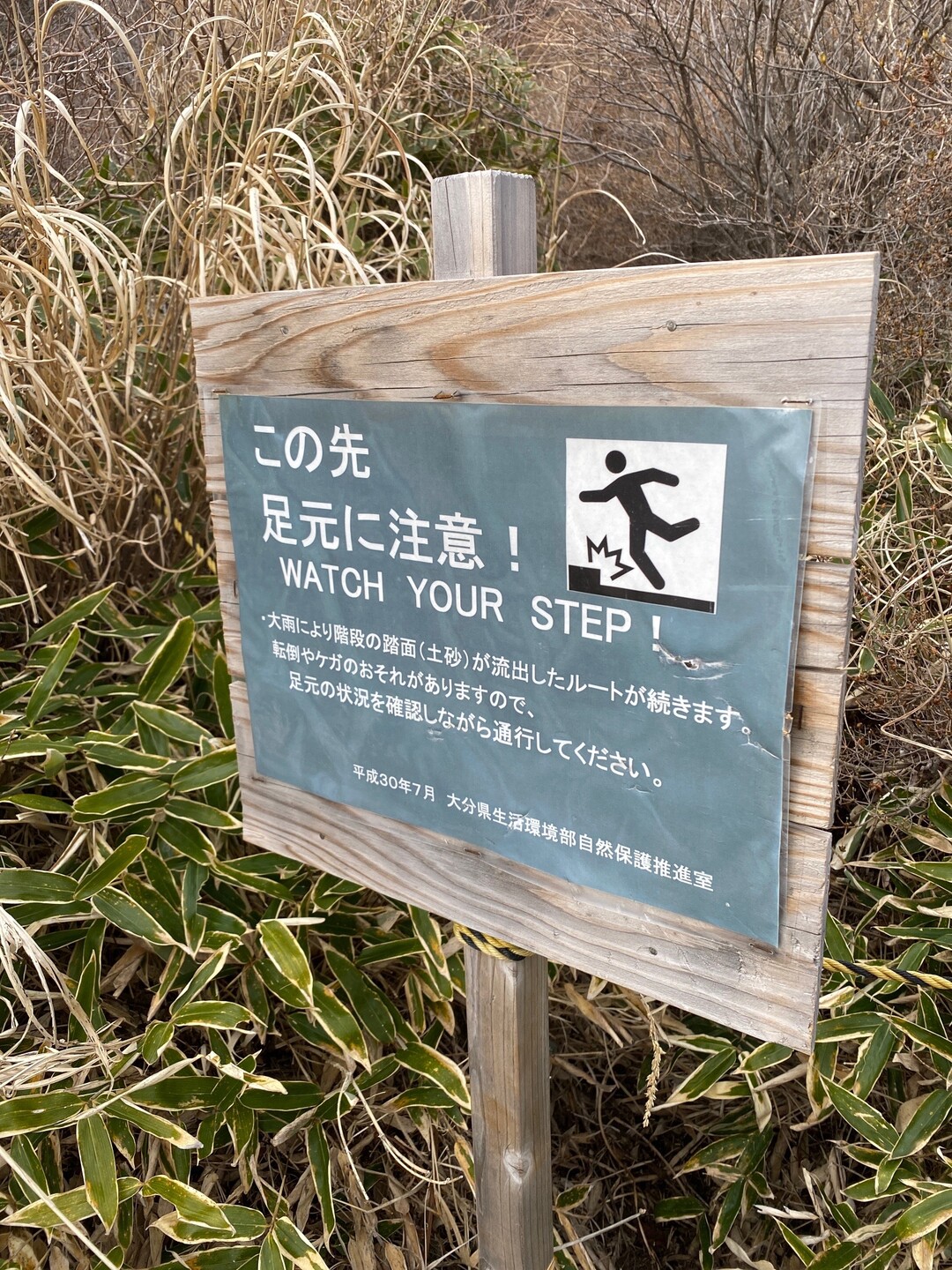 mamaさんの投稿したフィールドメモ | YAMAP / ヤマップ