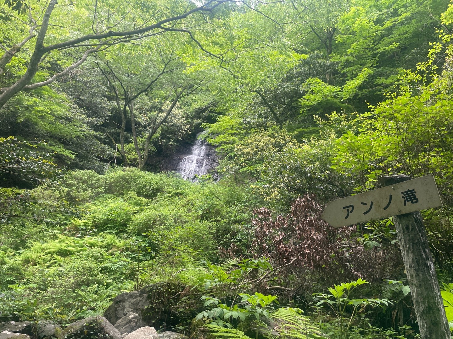 Kazさんの投稿したフィールドメモ | YAMAP / ヤマップ