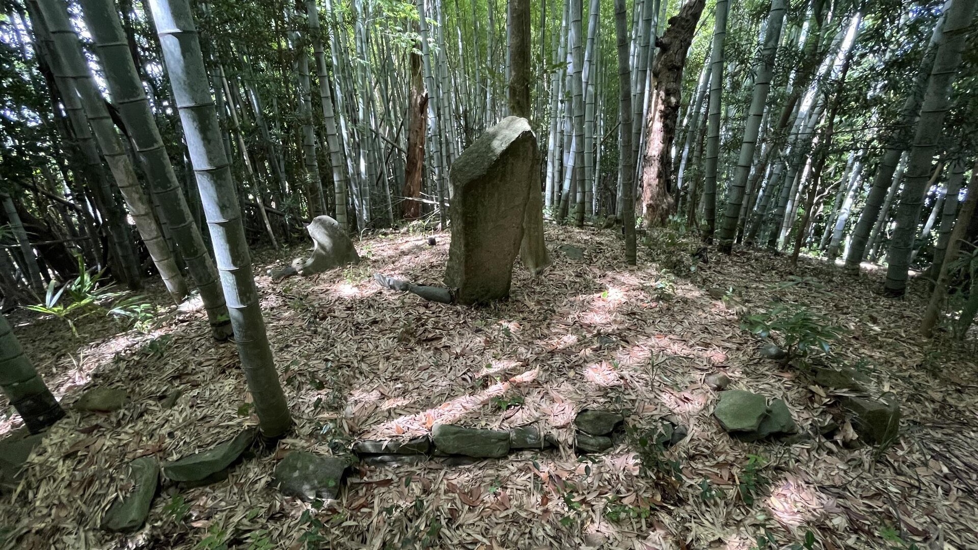 みろく山・花園山(1 hour challenge III その2,3) / jan4422さんの雷山・井原山の活動データ | YAMAP / ヤマップ