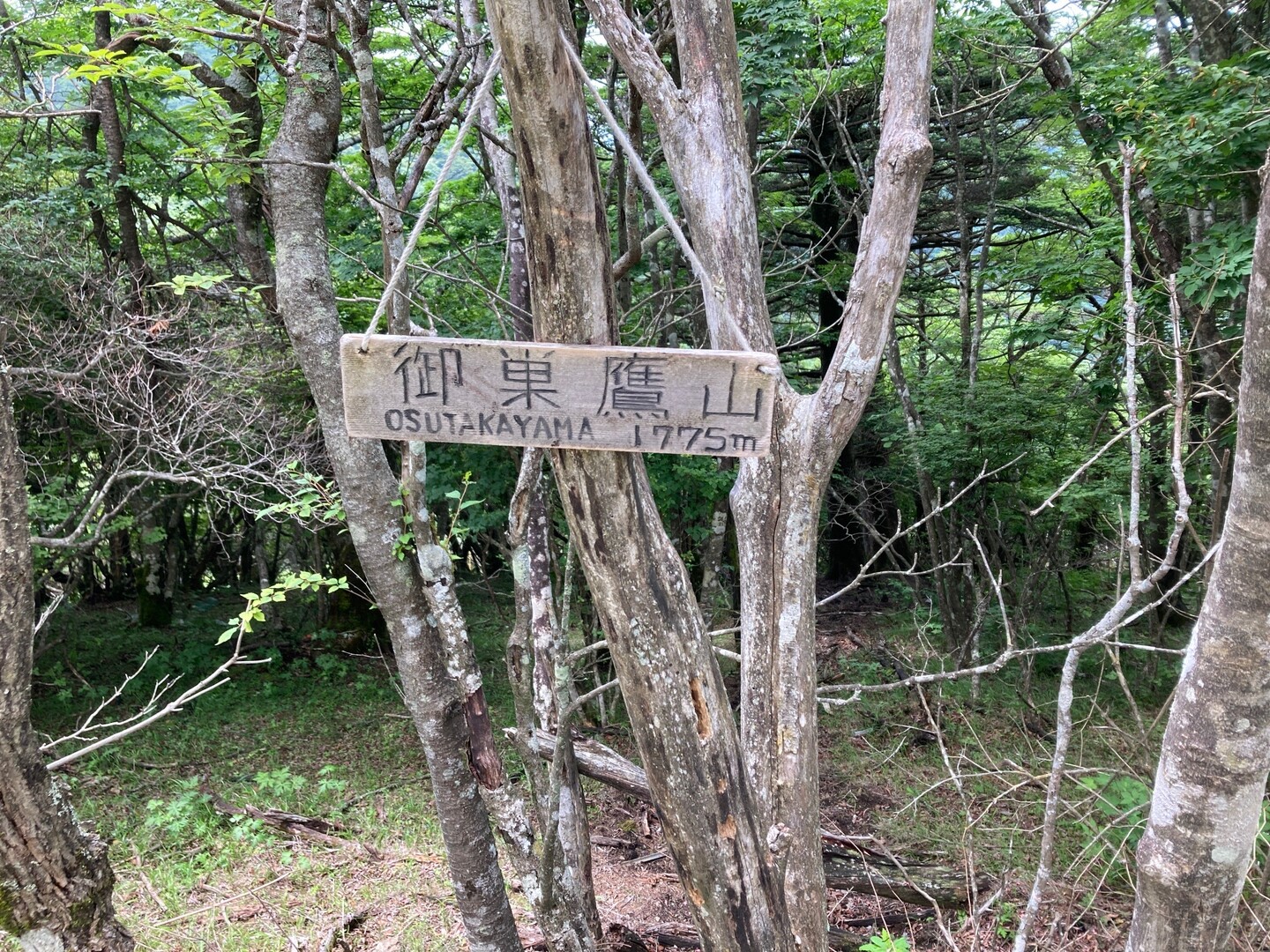 gar!さんの投稿したフィールドメモ | YAMAP / ヤマップ