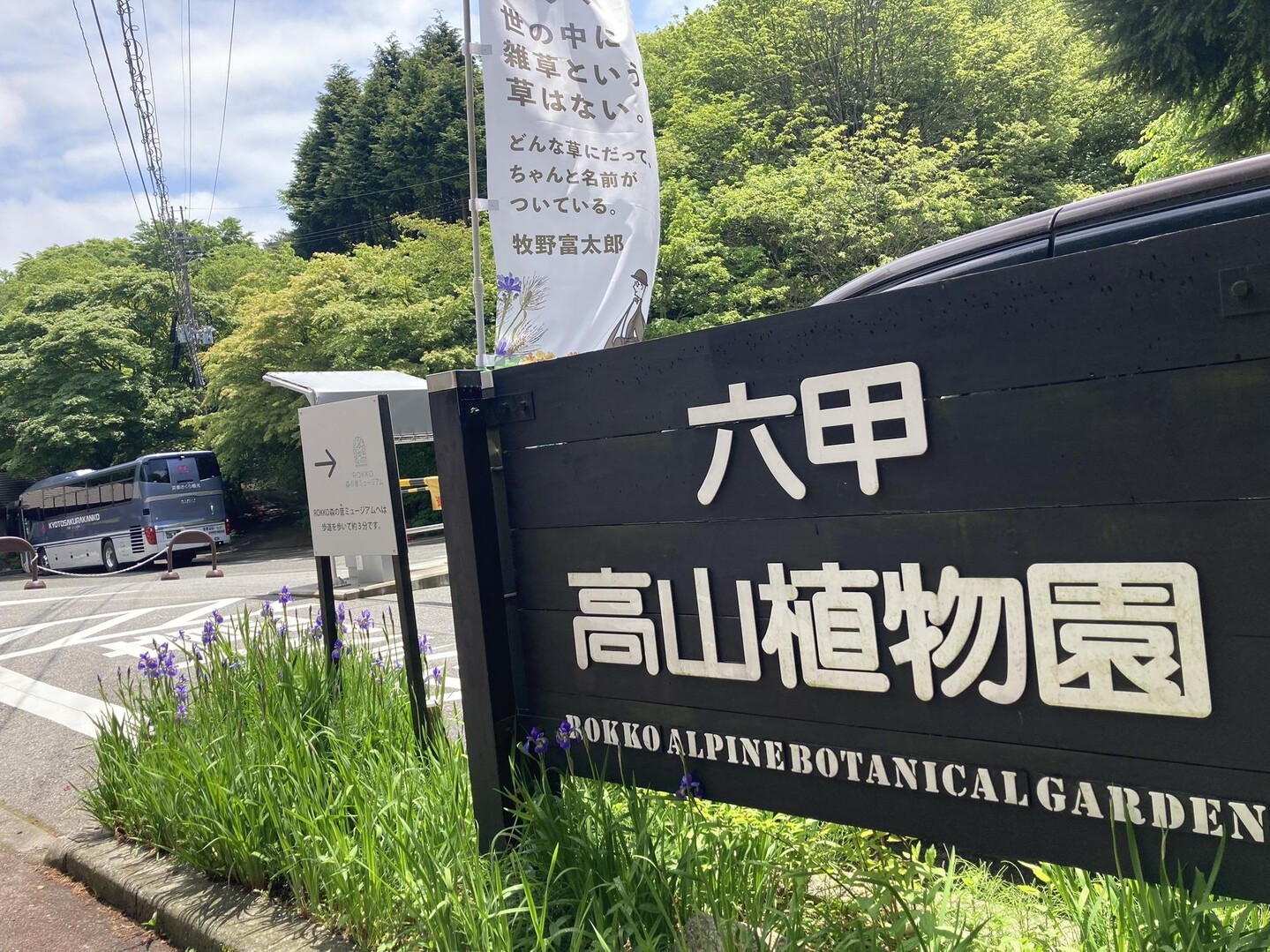 チングルマが見たくて行ったけど すでに綿... / ikukoさんのモーメント | YAMAP / ヤマップ