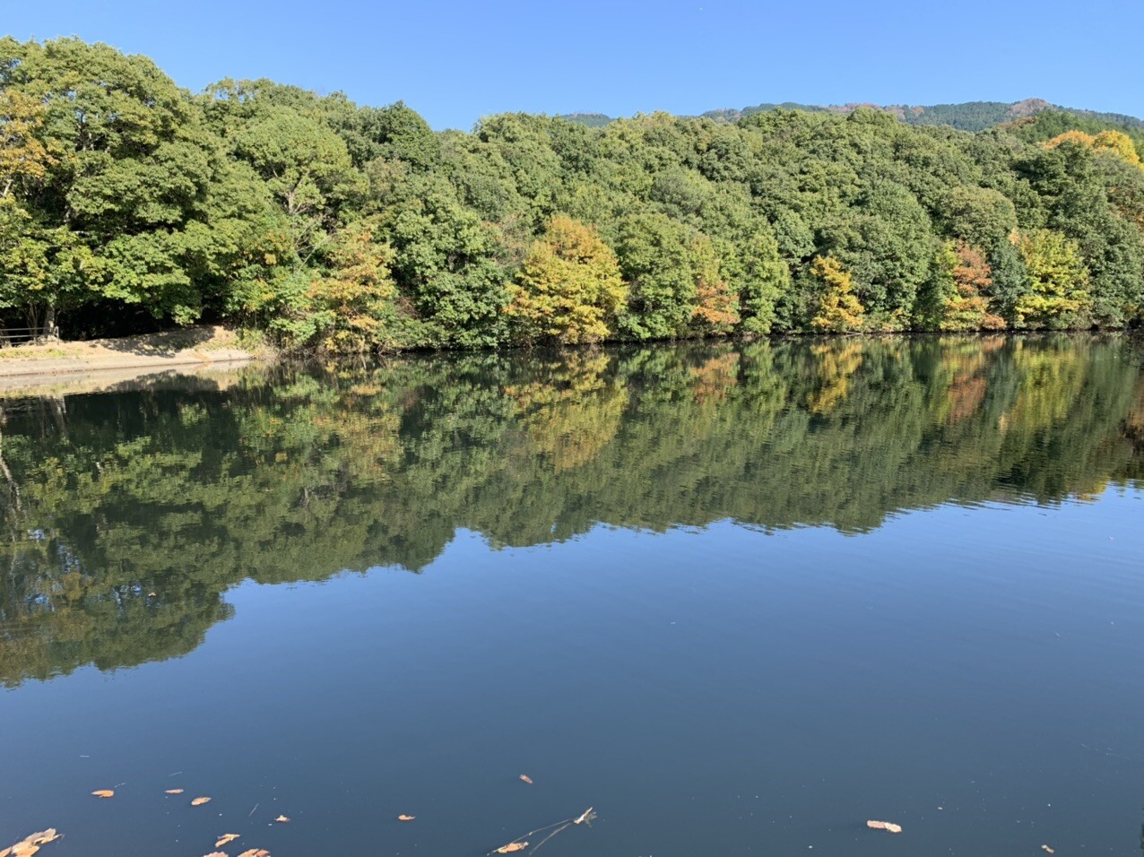 こじゅのページ | YAMAP / ヤマップ