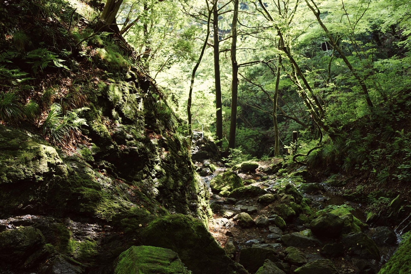 こういう記録的なメモ写真でも逆サイドから... / YUHYAさんのモーメント | YAMAP / ヤマップ