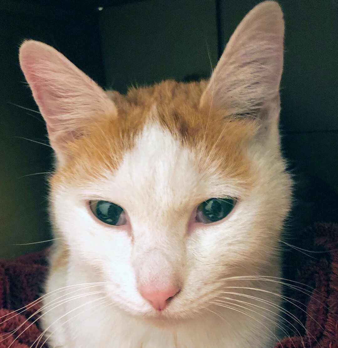 hideのページ | YAMAP / ヤマップ