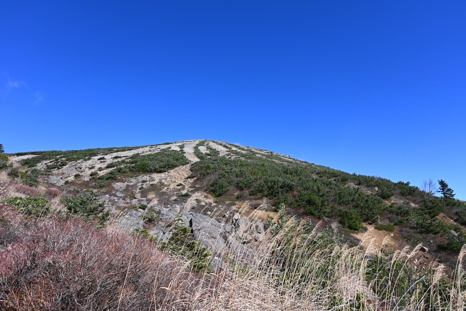 ゆるふわ爆風一切経山 / おやつカンパニーLimitedさんの吾妻山・一切経山の活動データ | YAMAP / ヤマップ