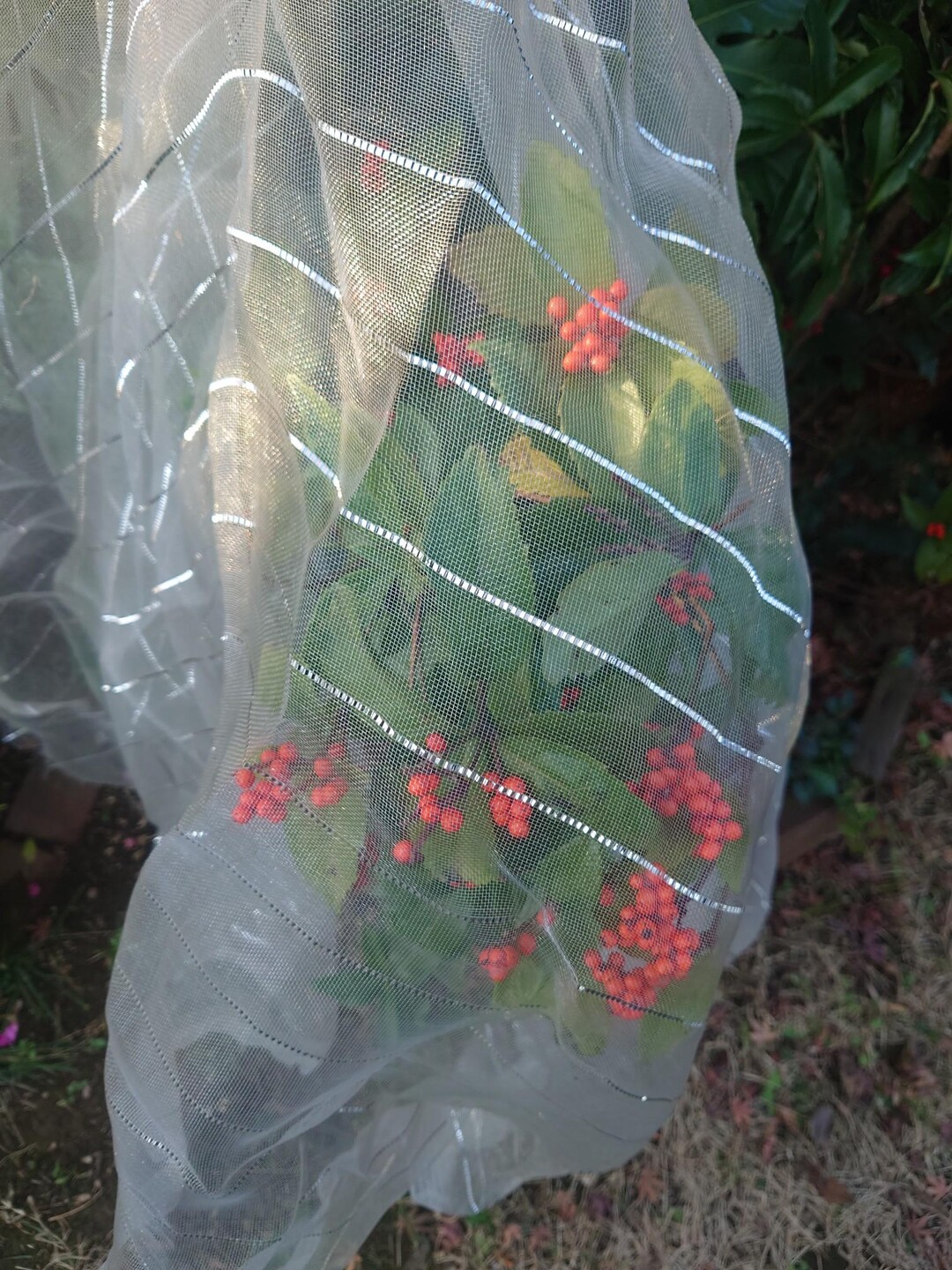 鳥さんに、一気に持っていかれるので1箇所... / ゆうなかさんのモーメント | YAMAP / ヤマップ