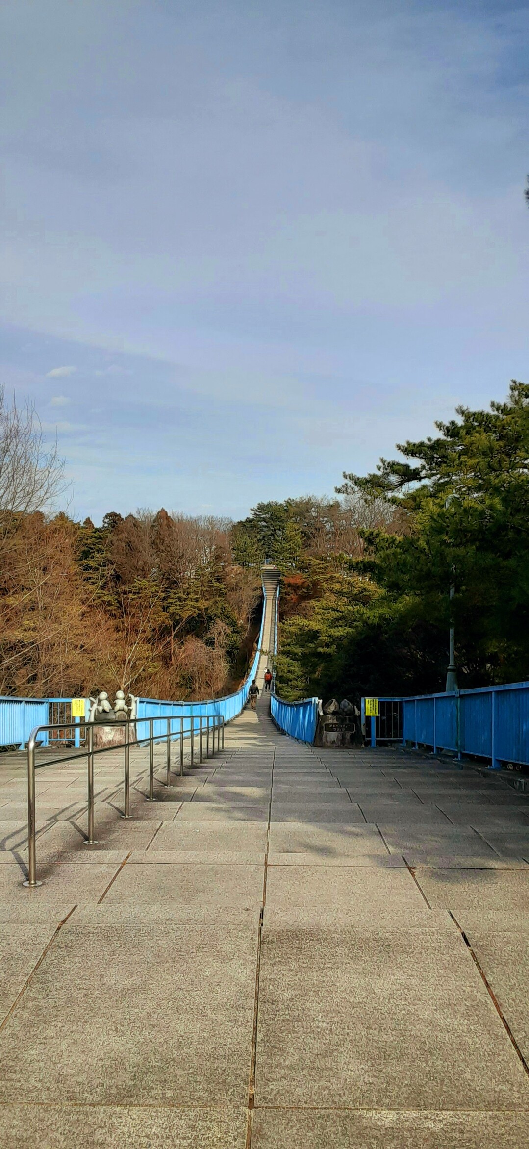 八幡山公園 お散歩にぴったり♪ゆっくり歩... / mokoさんのモーメント | YAMAP / ヤマップ