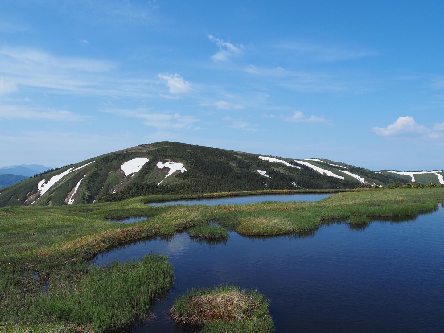平ヶ岳 おまけ中央分水嶺を歩く（その19） / S.Kitaさんの平ヶ岳・台倉山・池ノ岳の活動データ | YAMAP / ヤマップ