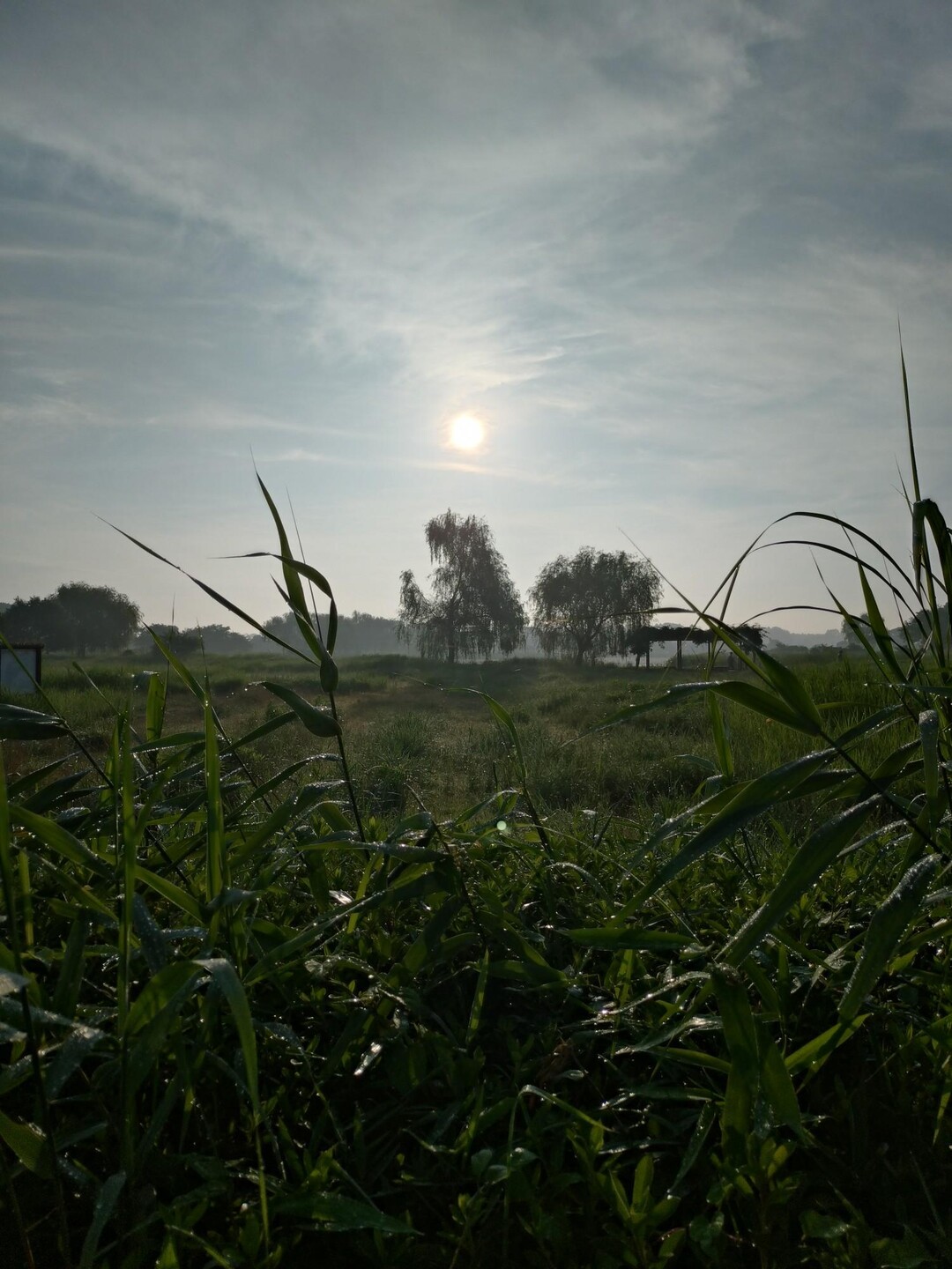 鶴沼山 7/7 / toshiさんの霞ヶ浦の活動データ | YAMAP / ヤマップ