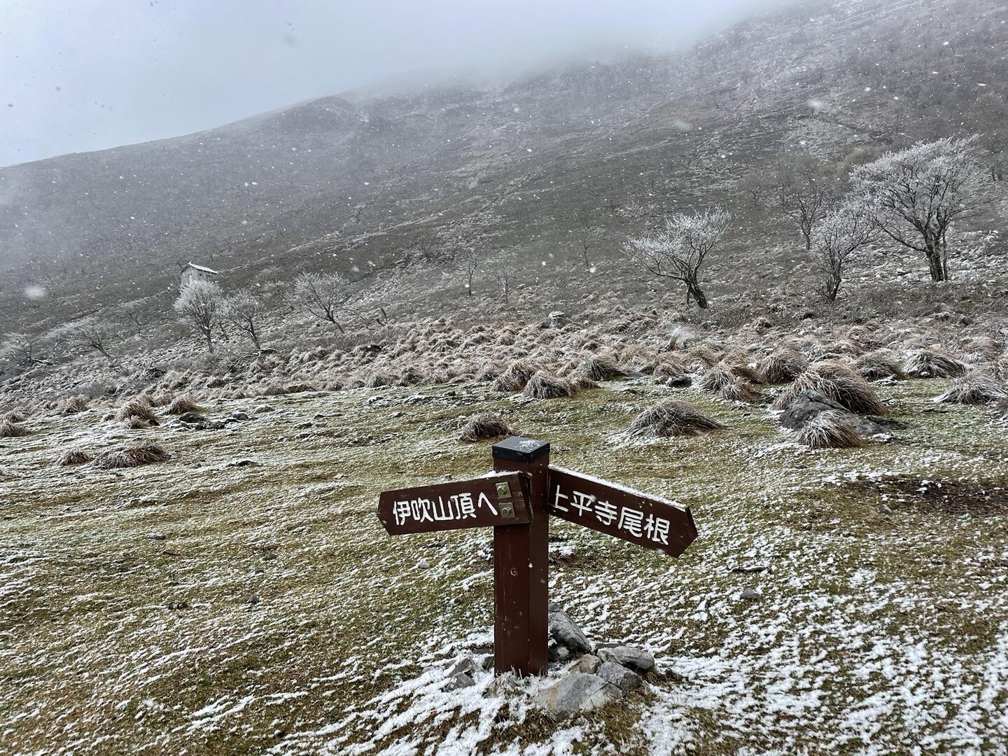 弥高山・伊吹山 / tomさんの伊吹山・伊吹高原・御座峰の活動データ | YAMAP / ヤマップ