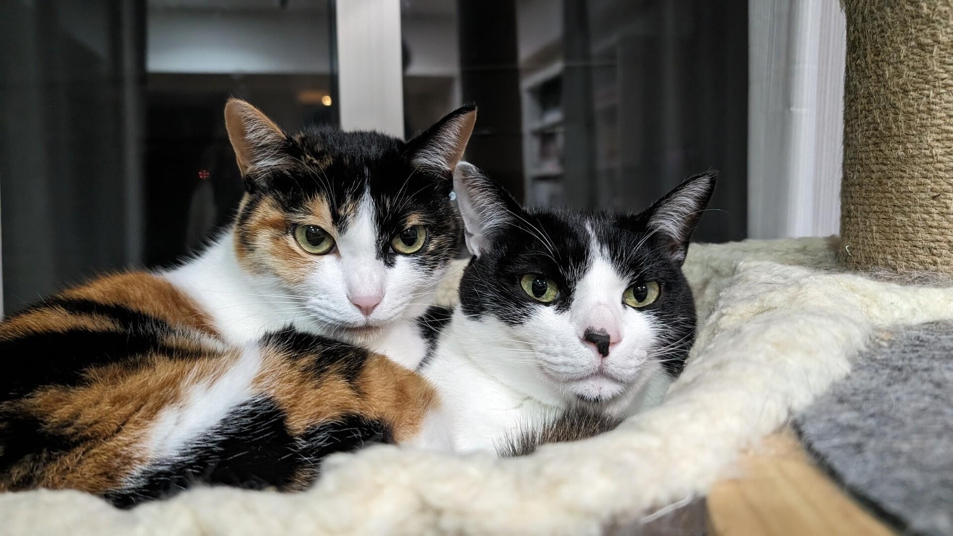 まっちゃのページ | YAMAP / ヤマップ