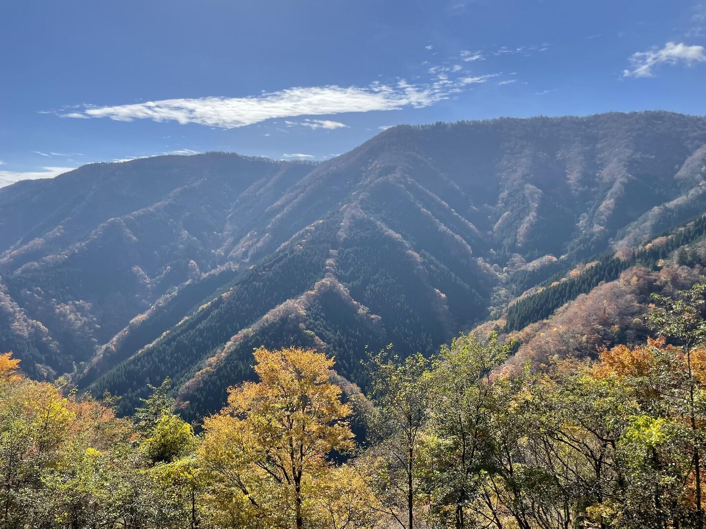 初のナゴメ谷2023.11.5 / Andyさんのウォーキングの活動データ | YAMAP / ヤマップ