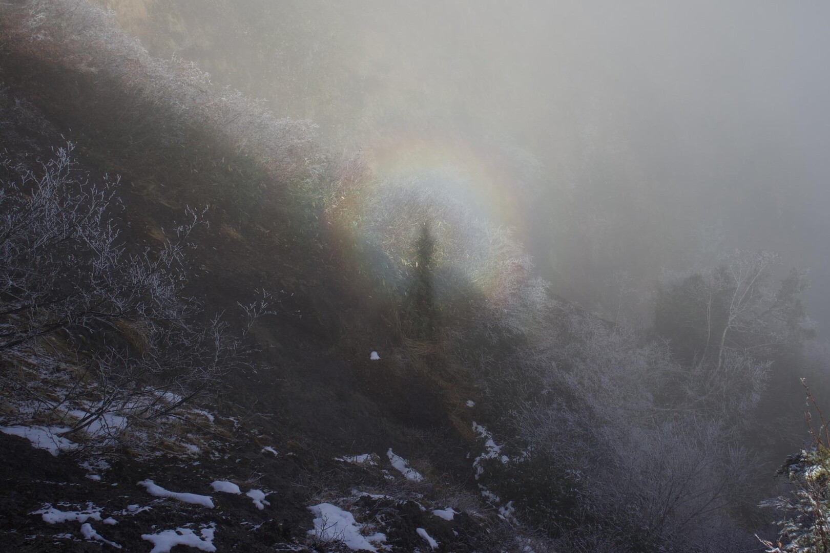 八方睨・戸隠山・九頭龍山 / KANTAI山さんの高妻山・戸隠山の活動日記 | YAMAP / ヤマップ