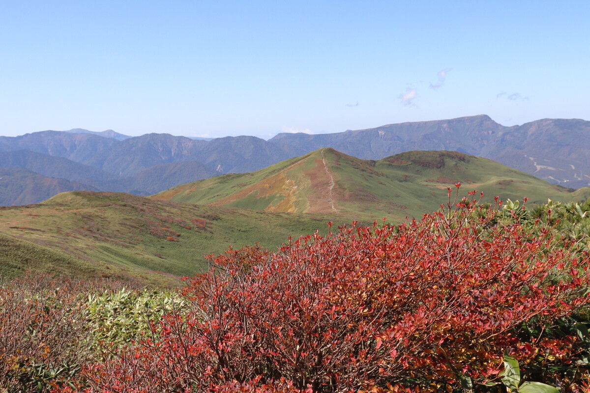 平標山～仙ノ倉山 / nabe_kumaさんの仙ノ倉山・平標山・大源太山の活動データ | YAMAP / ヤマップ