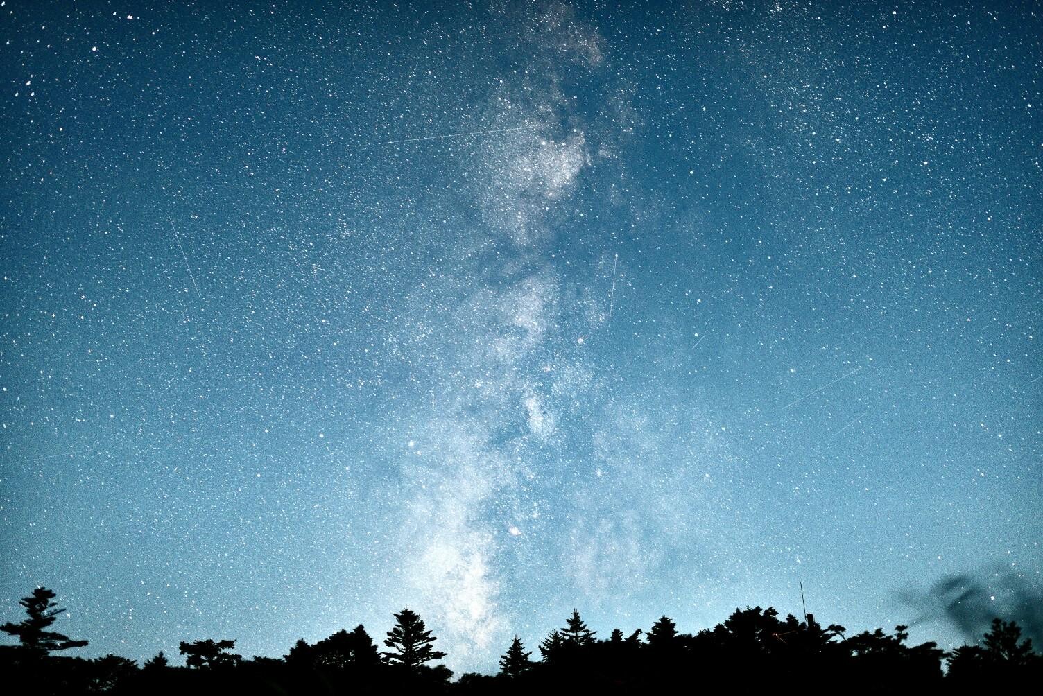 また×3 大台ヶ原 / ⛅Nori-jiさんの大台ヶ原山・日出ヶ岳・大杉谷の活動日記 | YAMAP / ヤマップ