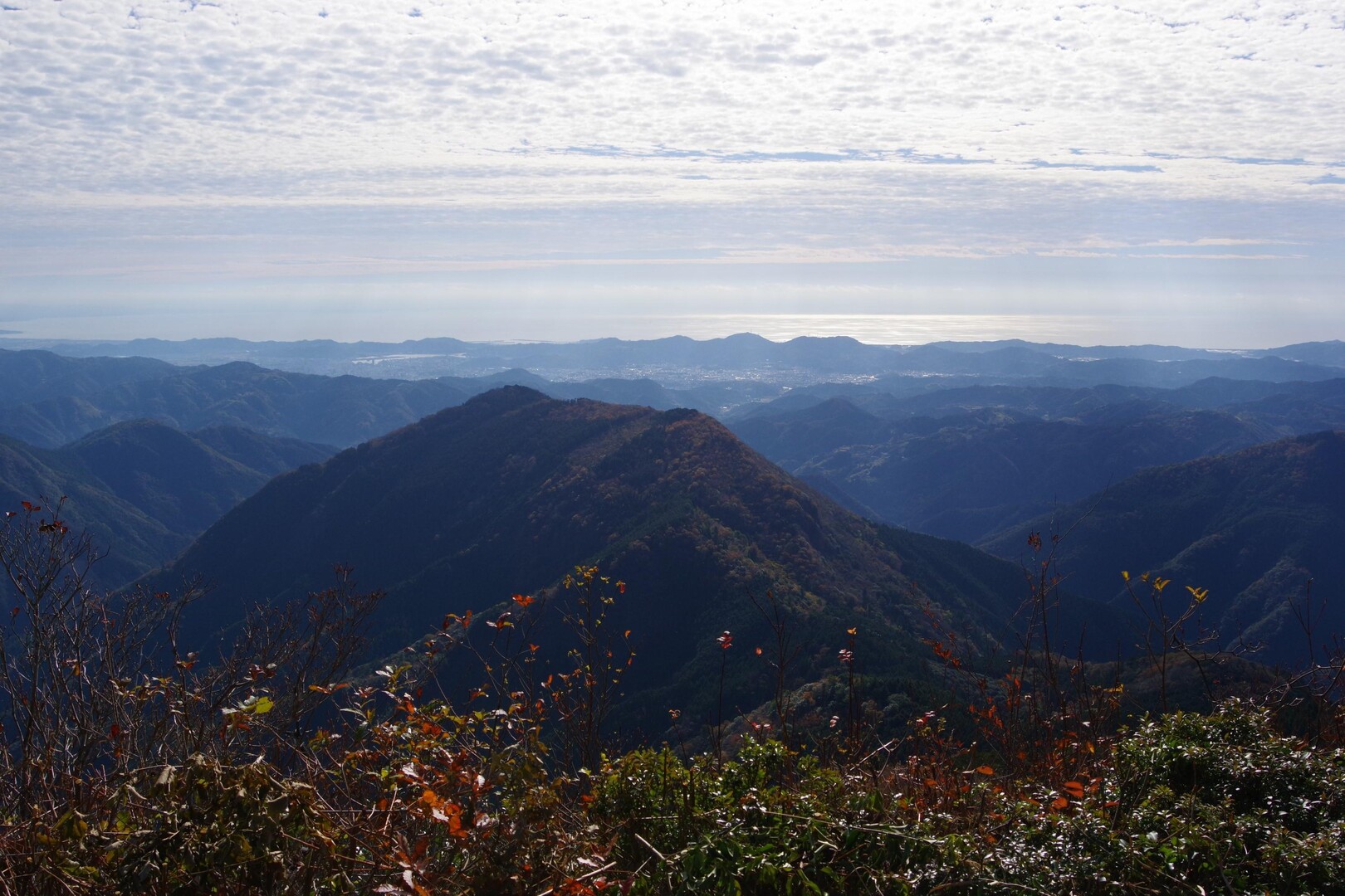 容赦ない急登、雪光山 / でこぼこMamoさんの国見山（雪光山）の活動データ | YAMAP / ヤマップ