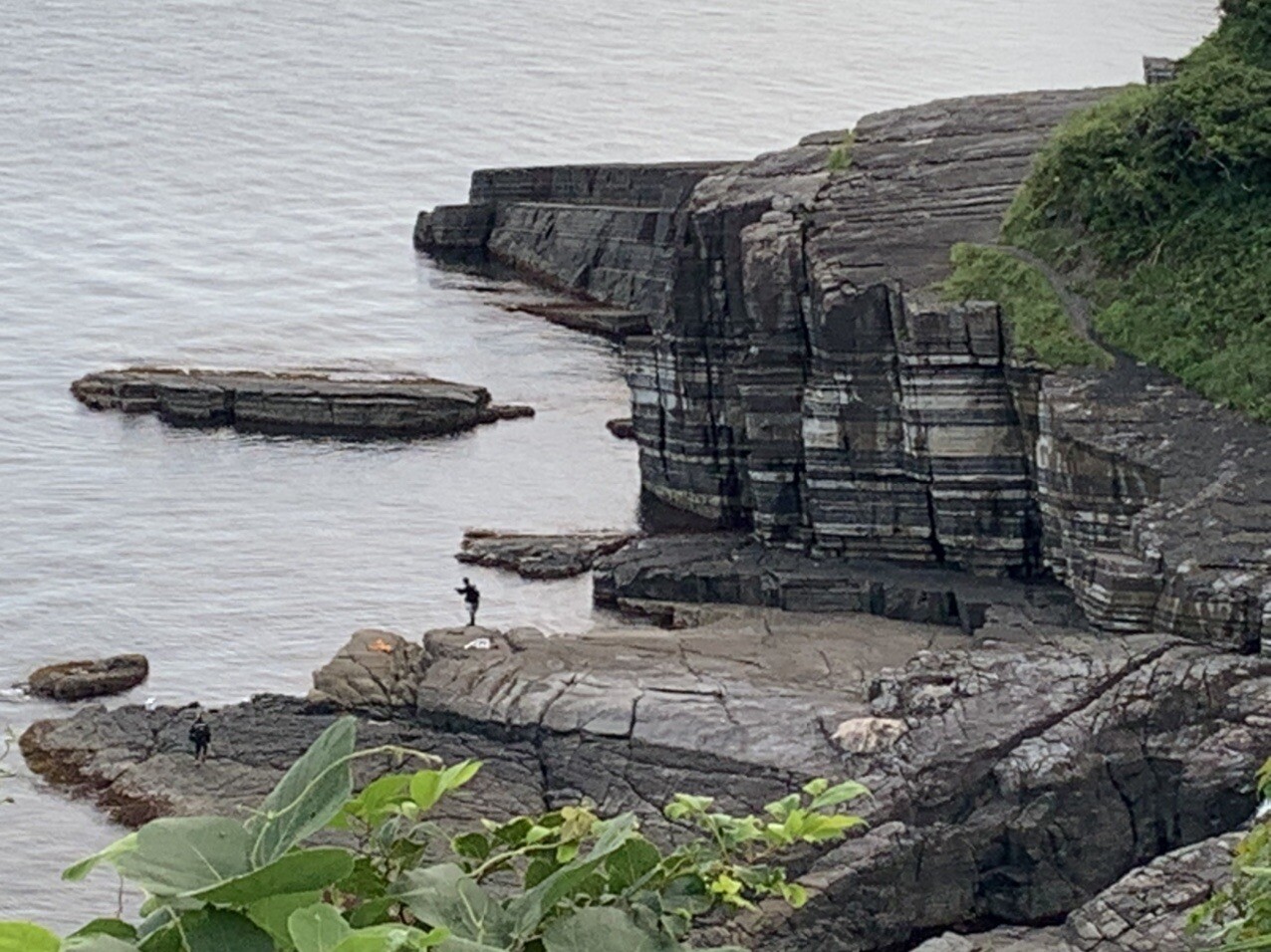 須佐高山登山の後に初めてホルンフェルスに... / koma_xさんのモーメント | YAMAP / ヤマップ