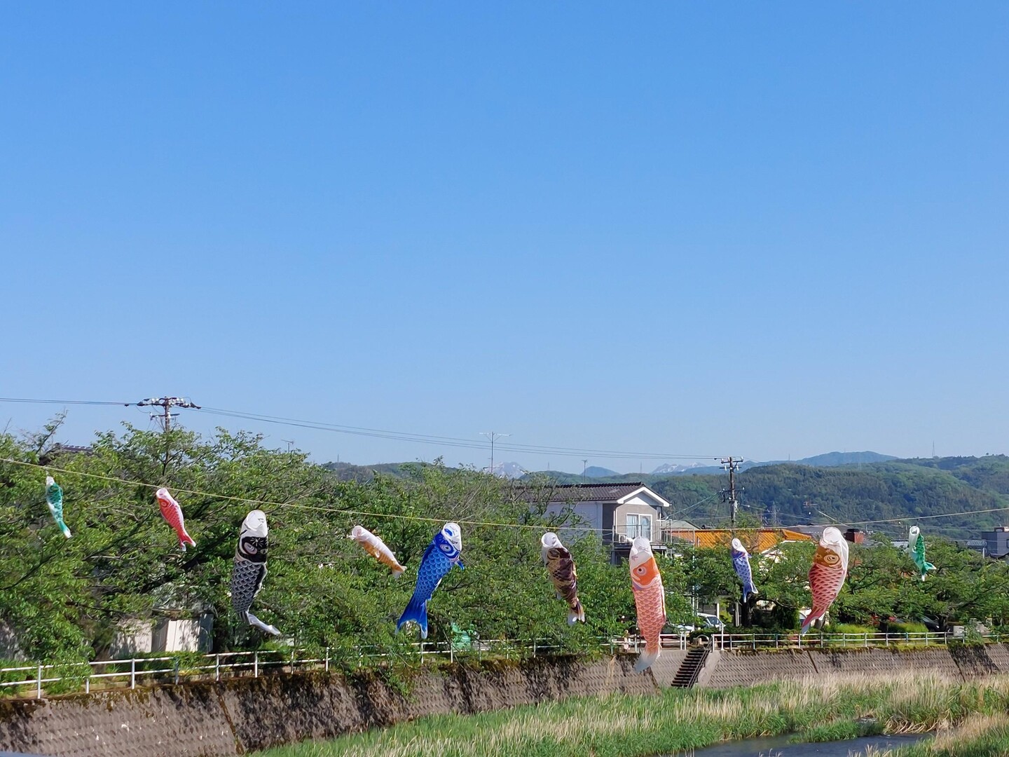 GW後半💚この上無い良い天気☀️ 何で... / むっちーさんのモーメント | YAMAP / ヤマップ