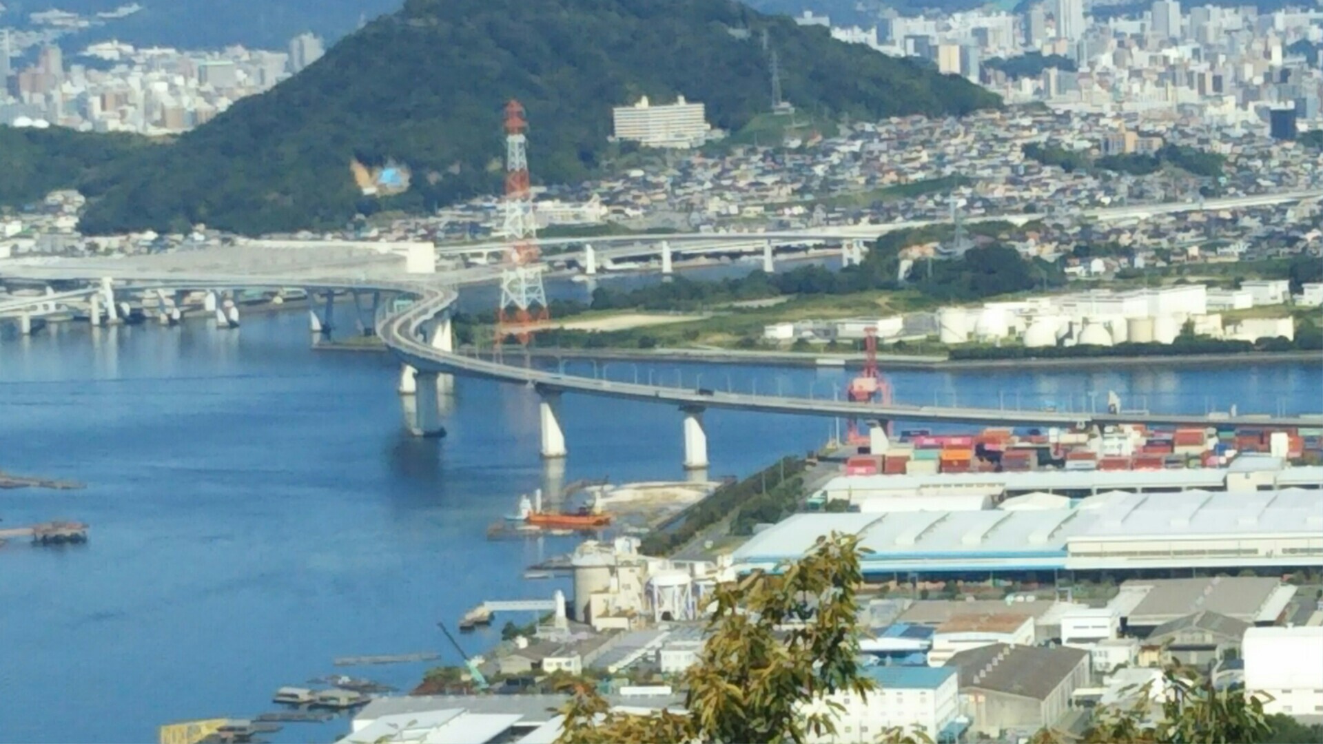 登山道の草刈り 茶臼山（安芸区）高尾山（坂町）(230m） / がんりゅうさんの絵下山・天狗城山・森山の活動データ | YAMAP / ヤマップ