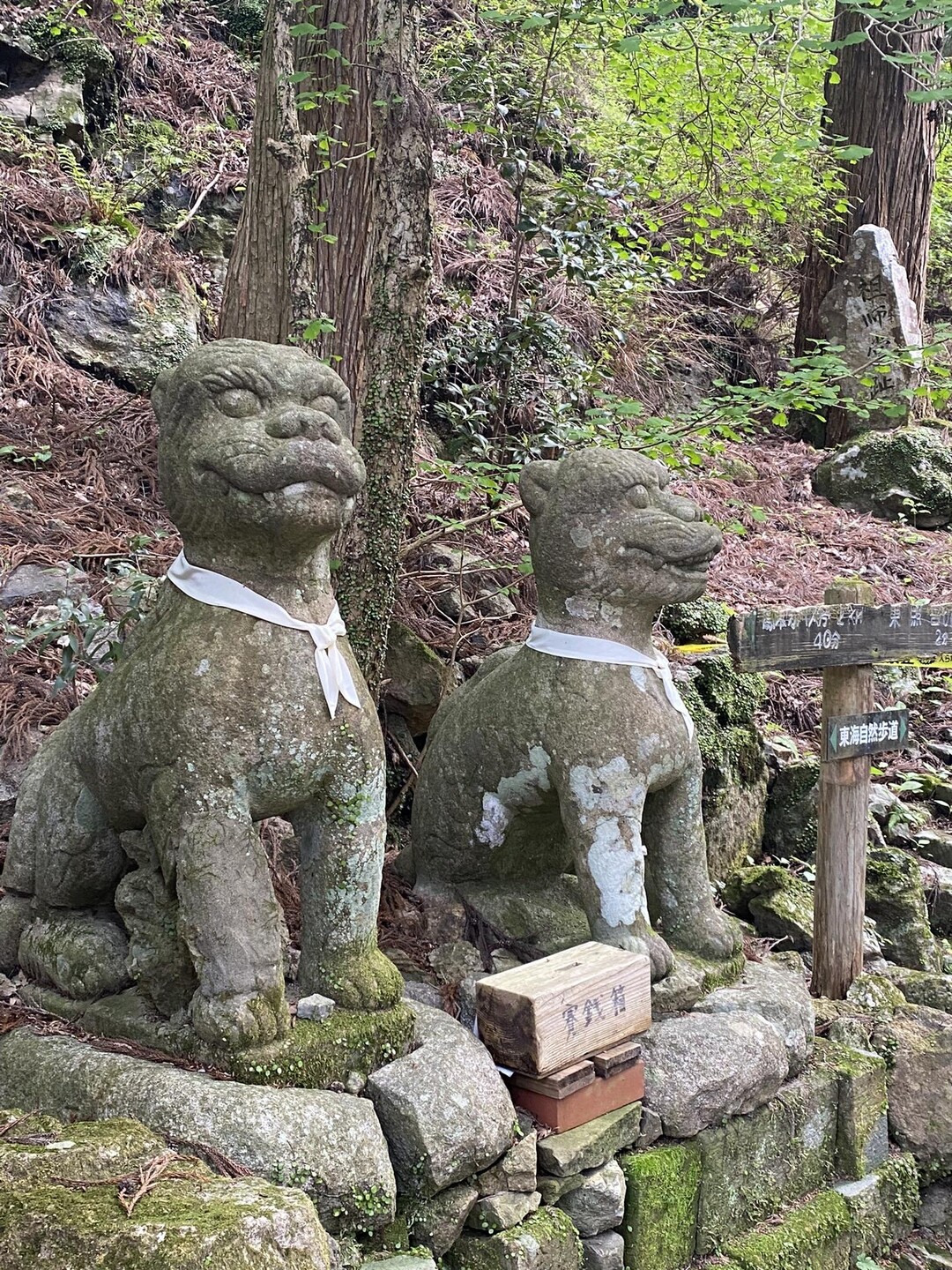 鳳来寺山・瑠璃山 / namiさんの宇連山・鳳来寺山・岩古谷山の活動データ | YAMAP / ヤマップ