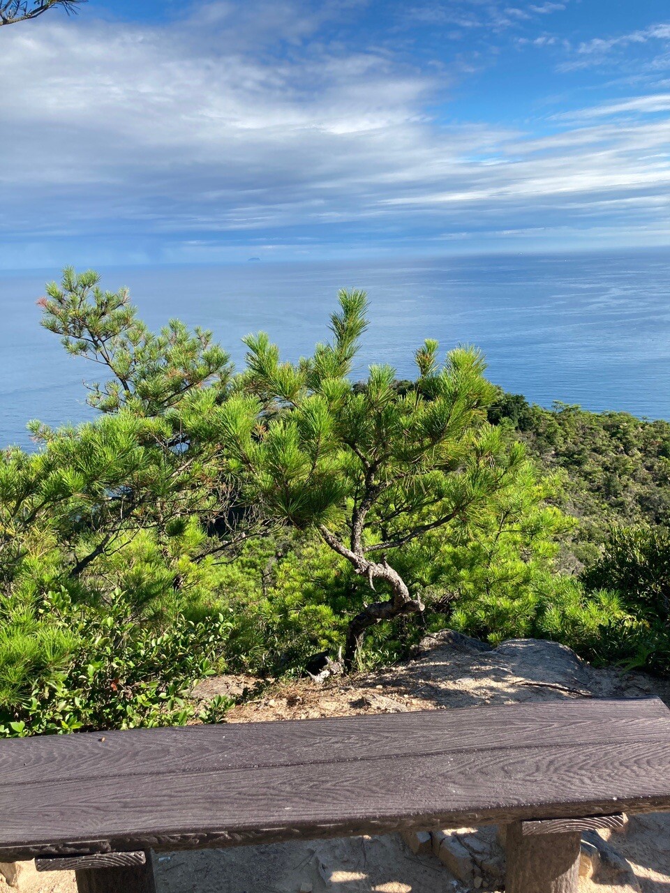 hiyoさんの投稿したフィールドメモ | YAMAP / ヤマップ