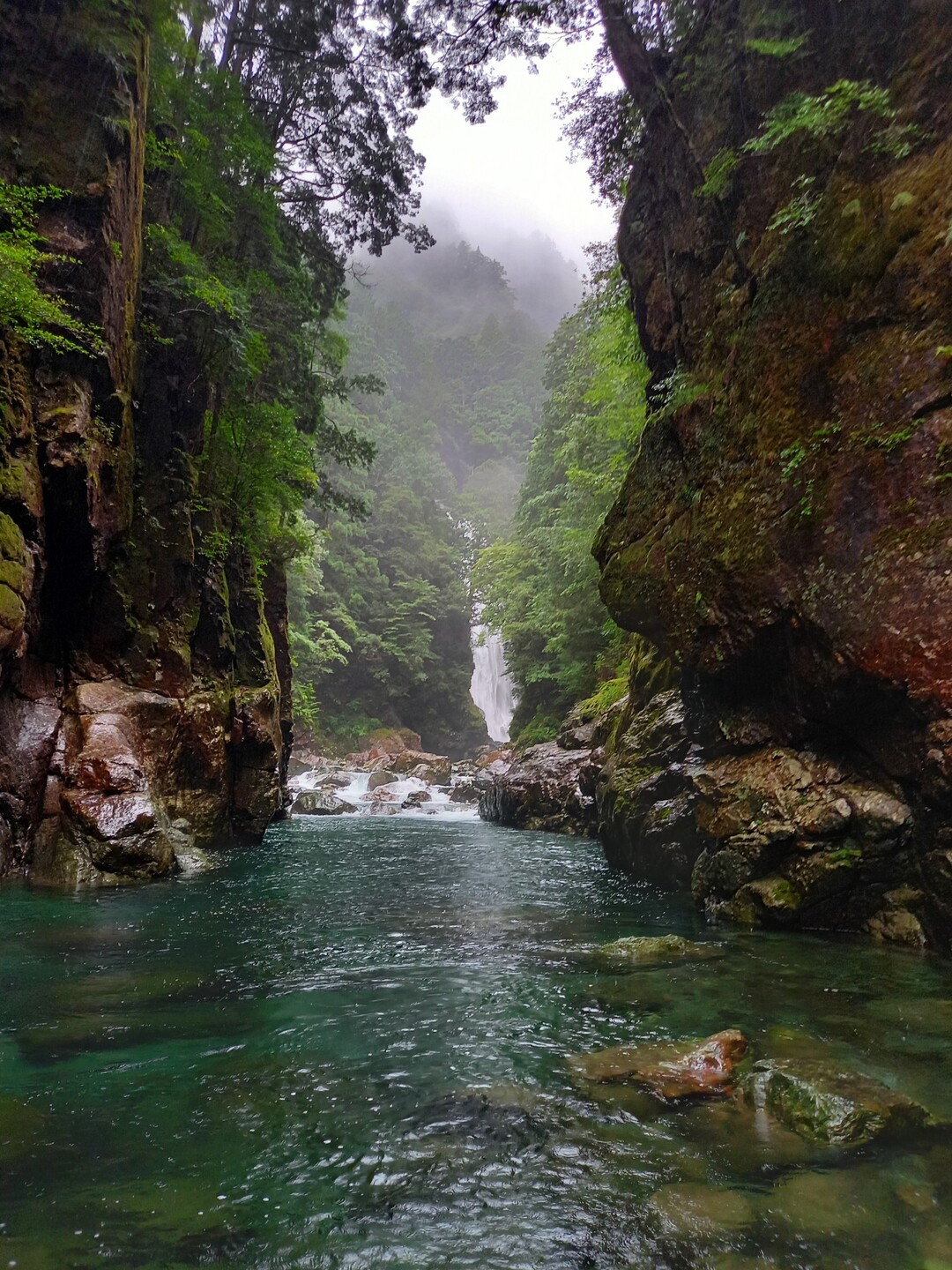 大杉谷 / jun8さんの大台ヶ原山・日出ヶ岳・大杉谷の活動データ | YAMAP / ヤマップ