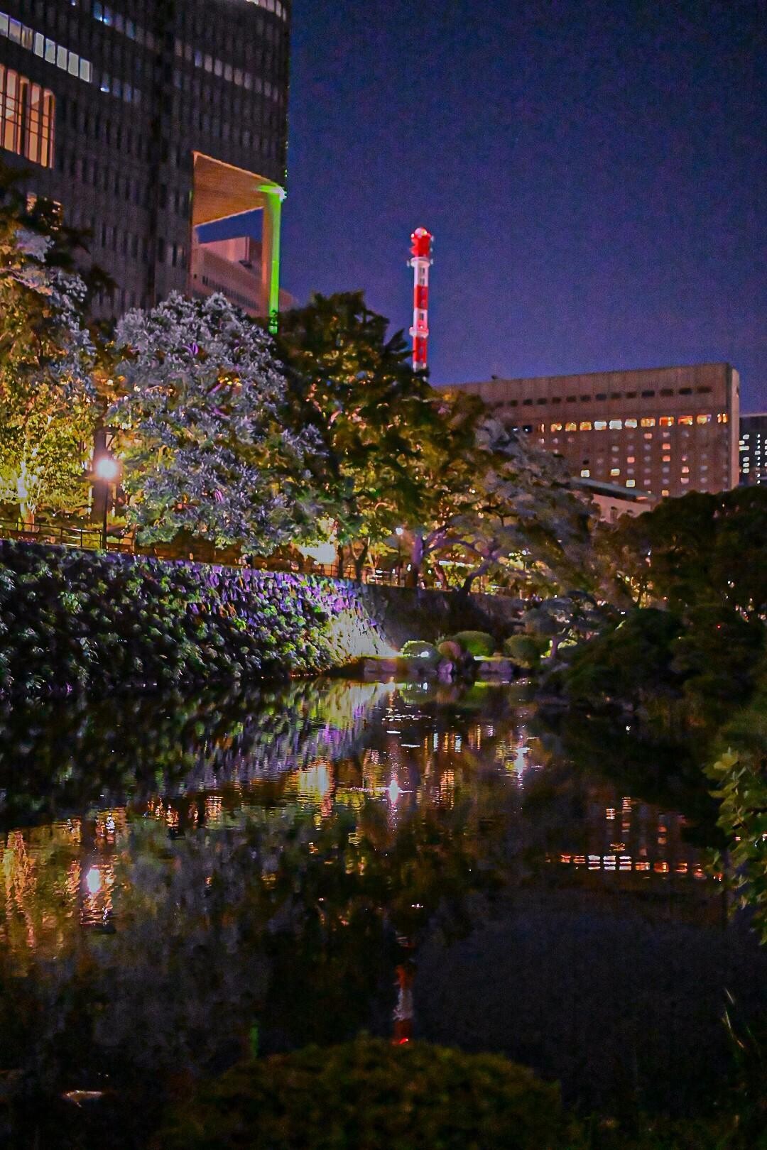 日比谷公園 / GIさんのモーメント | YAMAP / ヤマップ