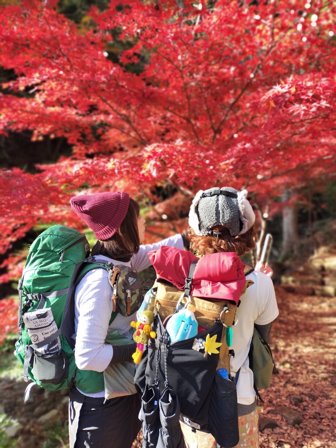 大山 紅葉＆富士山 / chieさんの大山の活動データ | YAMAP / ヤマップ
