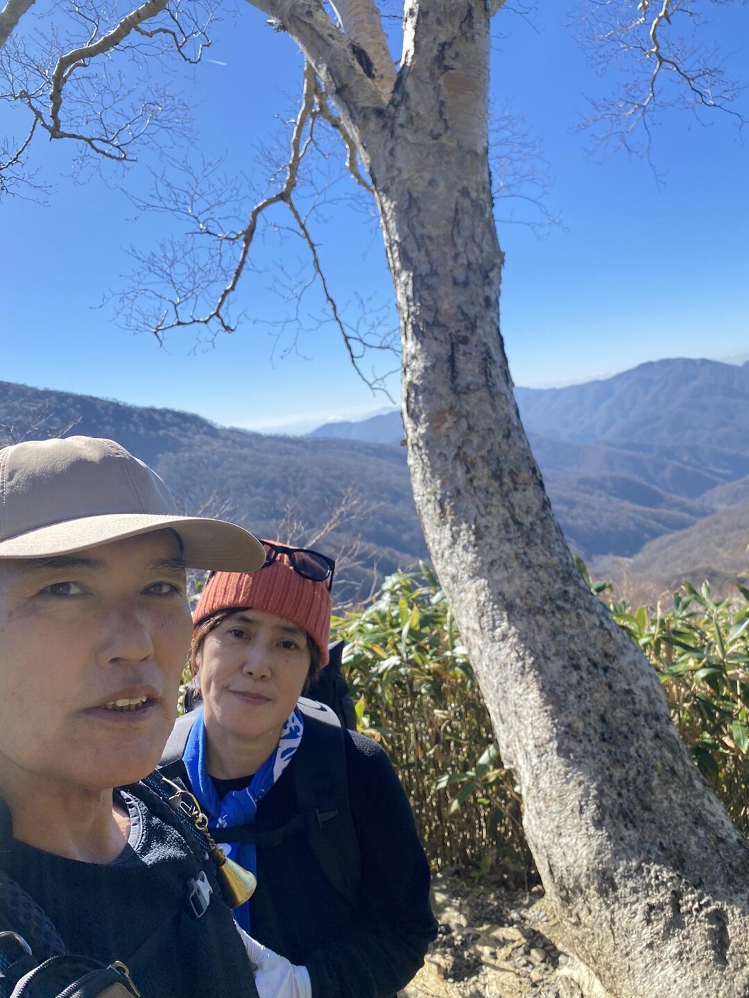 白山甚之助まで2023-11-08 / yasuyasuさんの白山・別山・銚子ヶ峰の活動データ | YAMAP / ヤマップ