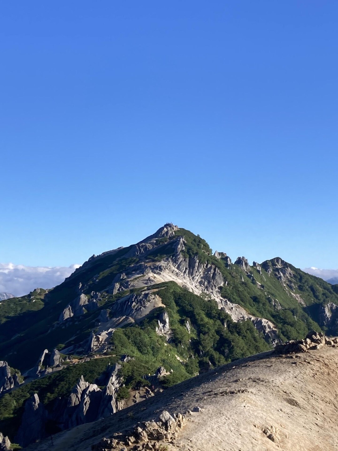 "アルプスの女王" 中房登山口〜燕岳 / annpapaさんの燕岳・餓鬼岳・唐沢岳の活動データ | YAMAP / ヤマップ