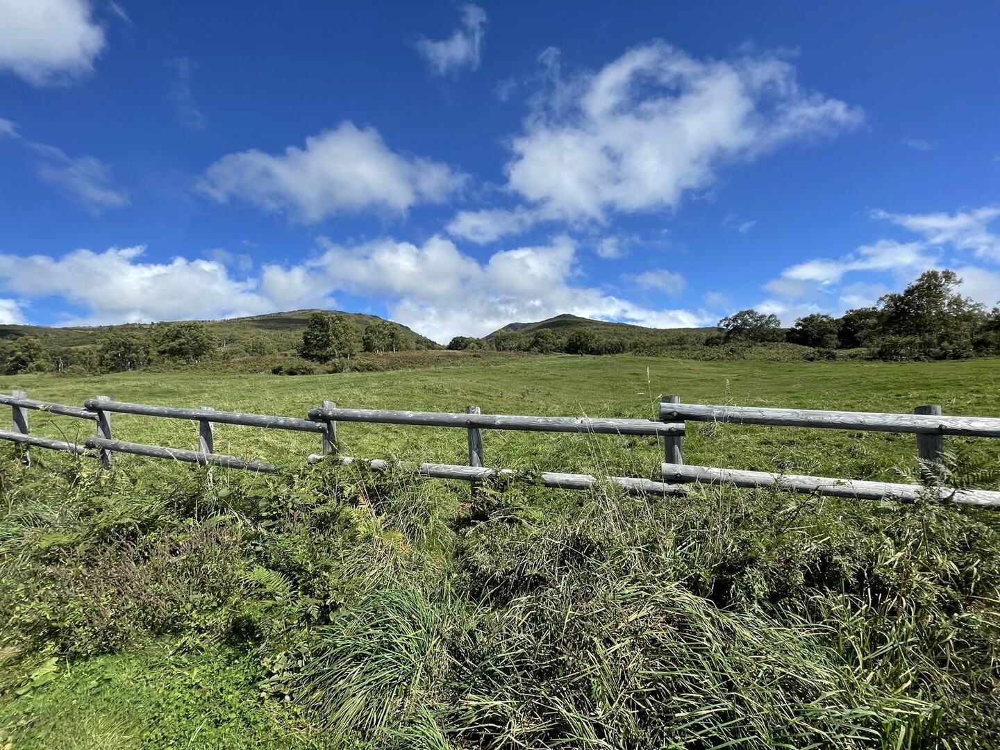 根子岳・四阿山・中四阿・小四阿 / Vega-tanさんの四阿山・根子岳の活動データ | YAMAP / ヤマップ
