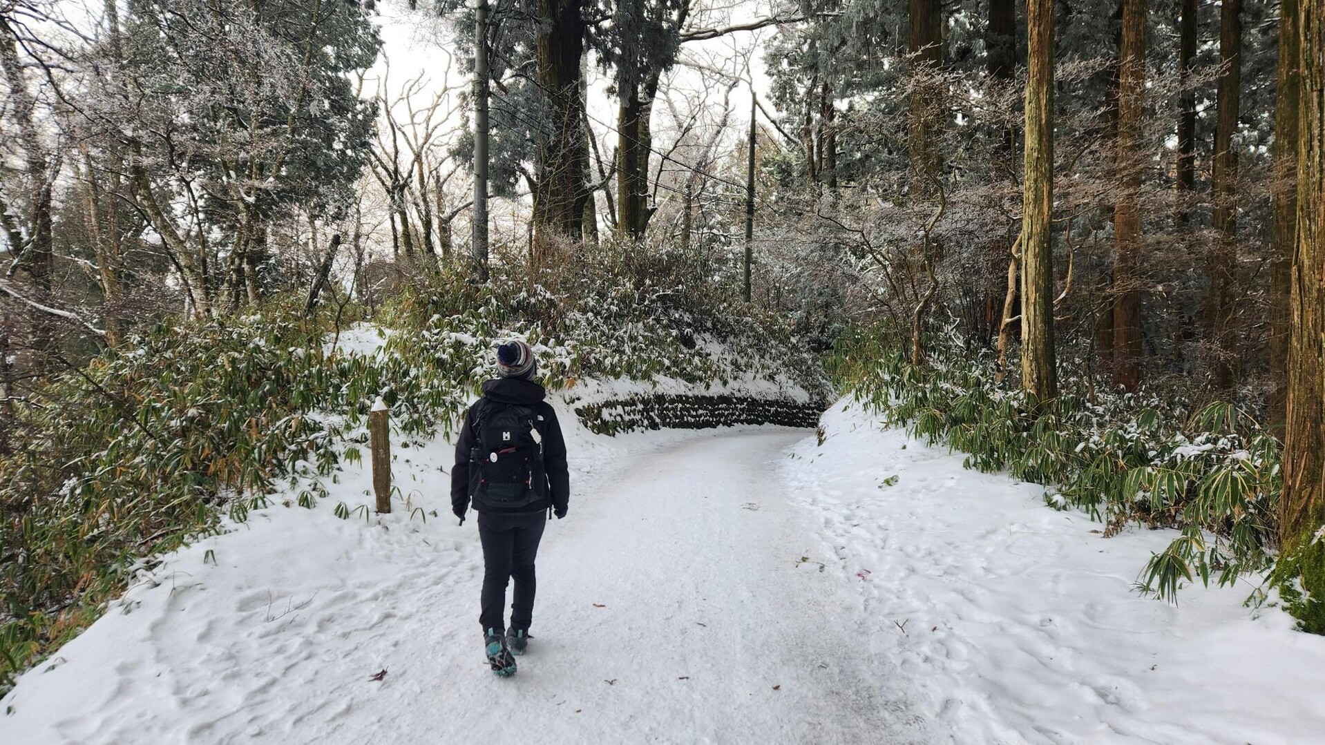 shuのページ | YAMAP / ヤマップ