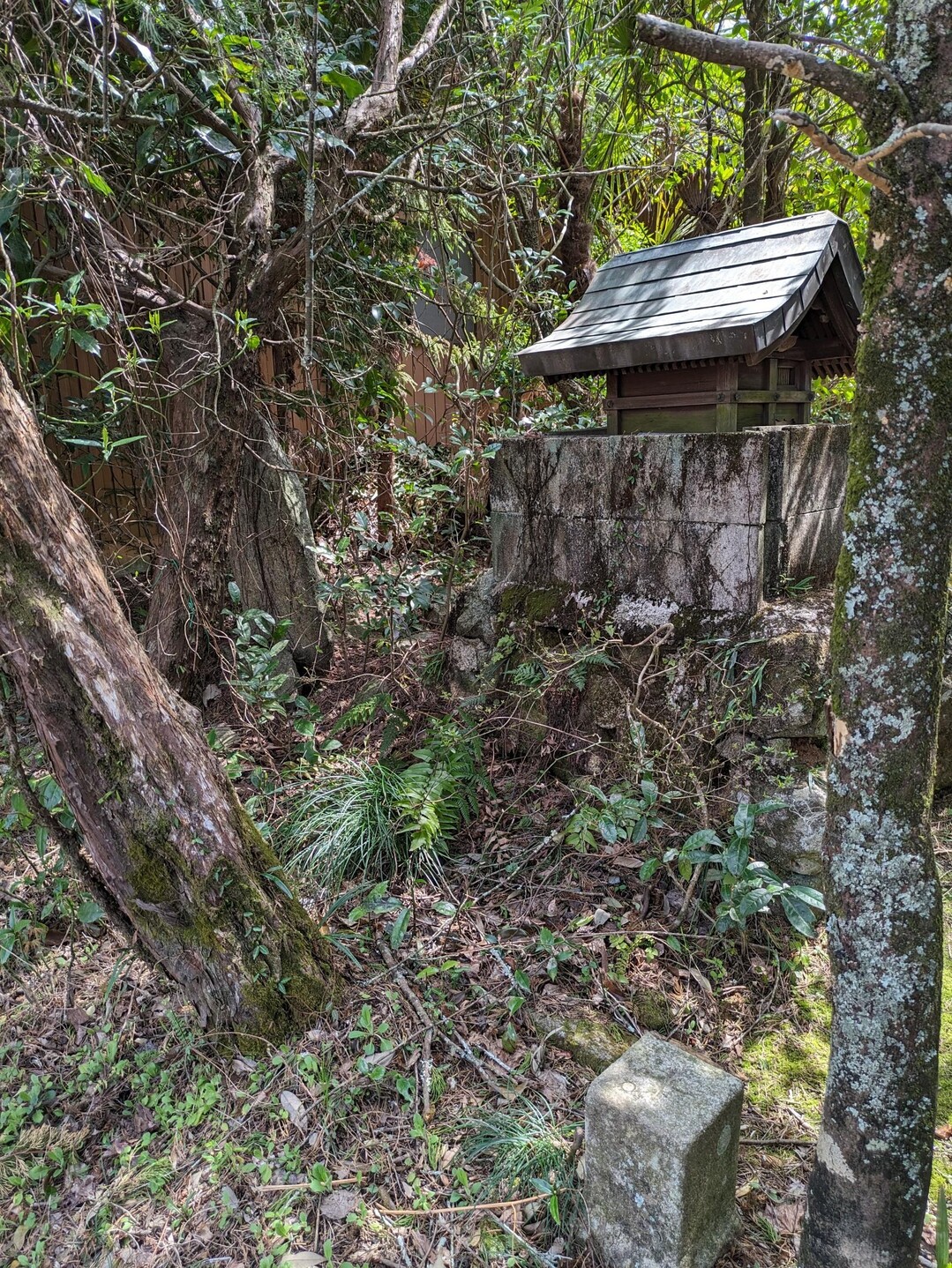 masashi_mhさんの投稿したフィールドメモ | YAMAP / ヤマップ