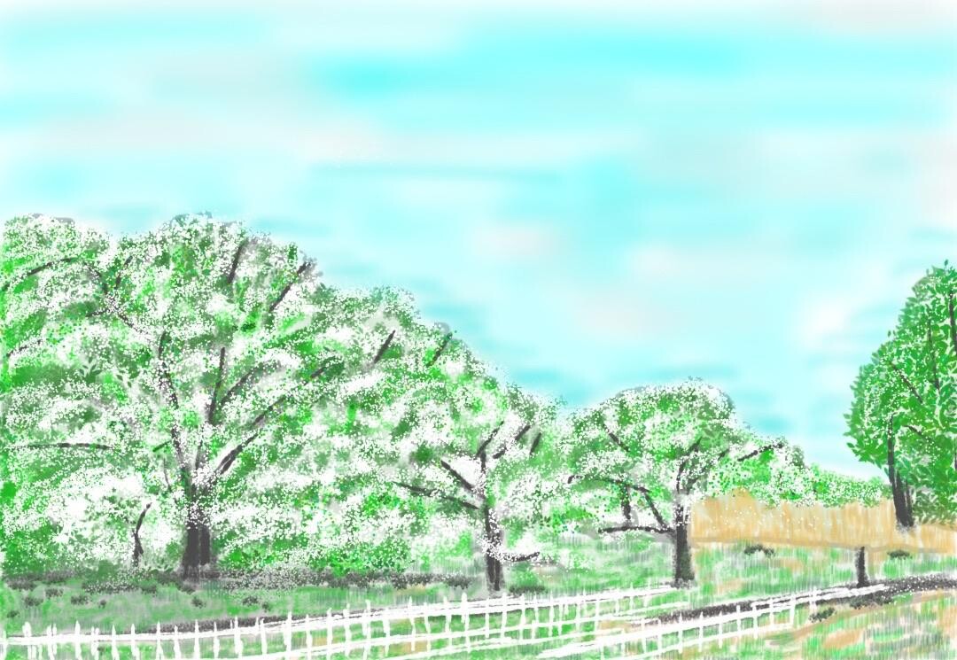 皐月空 青と緑に 鮮やかな白 今を盛りに... / clearkkさんのモーメント | YAMAP / ヤマップ