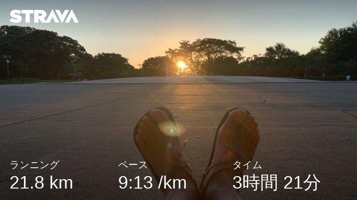 昨日、久しぶりに海練で3000m泳いだら... / ススムさんのモーメント | YAMAP / ヤマップ