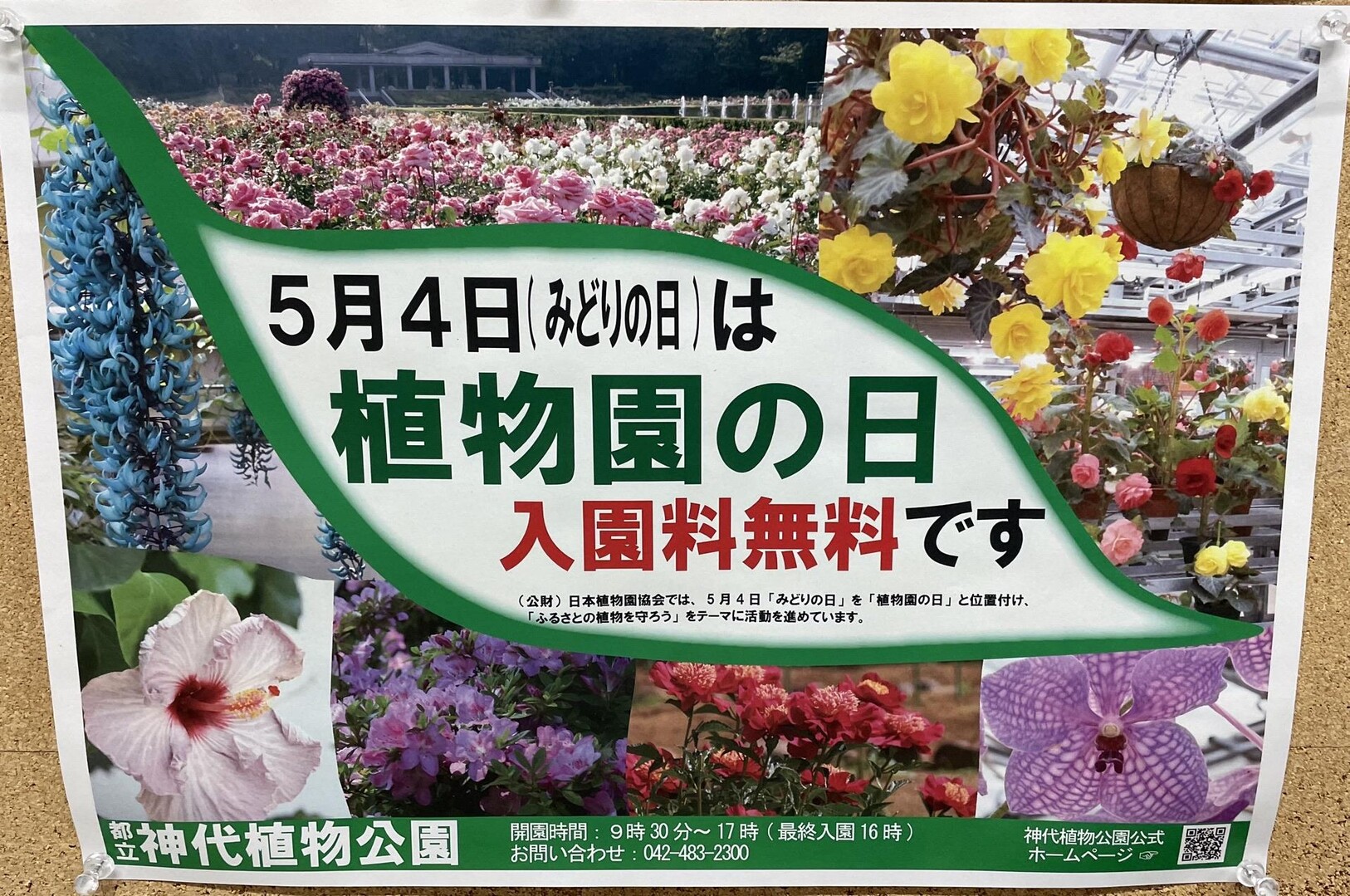 5月4日 東京都調布市 神代植物公園は ... / Ushi924さんのモーメント | YAMAP / ヤマップ