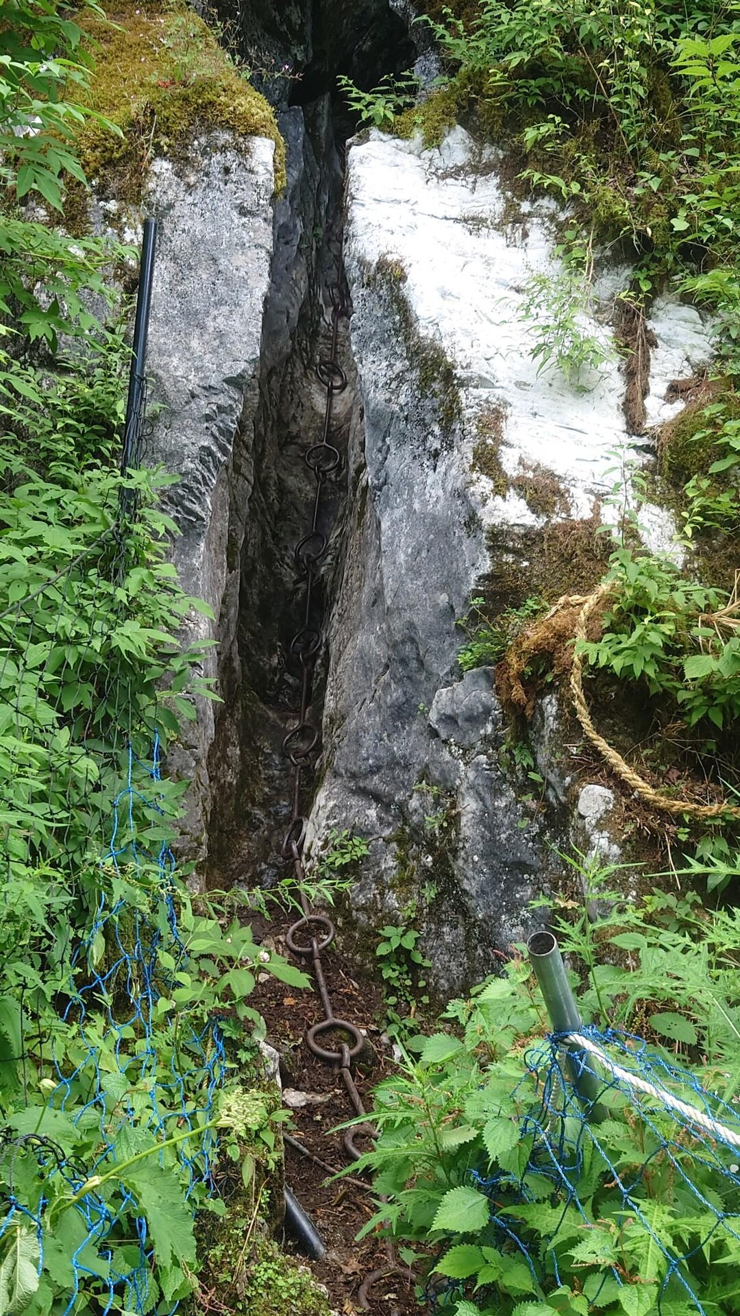 blackmoreさんの投稿したフィールドメモ | YAMAP / ヤマップ