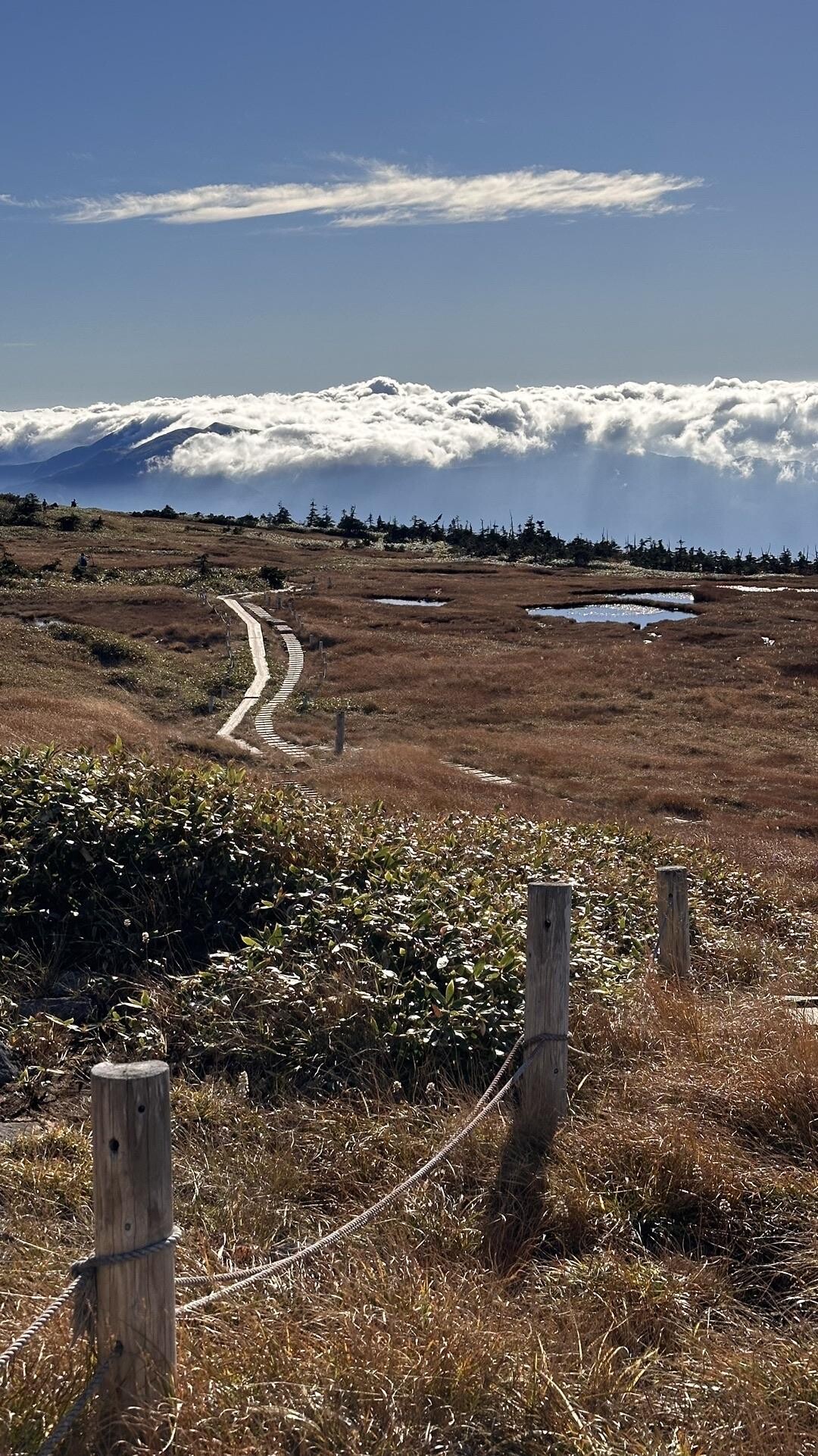 苗場山 天空の楽園 / kenjiさんの苗場山・赤倉山・佐武流山の活動データ | YAMAP / ヤマップ