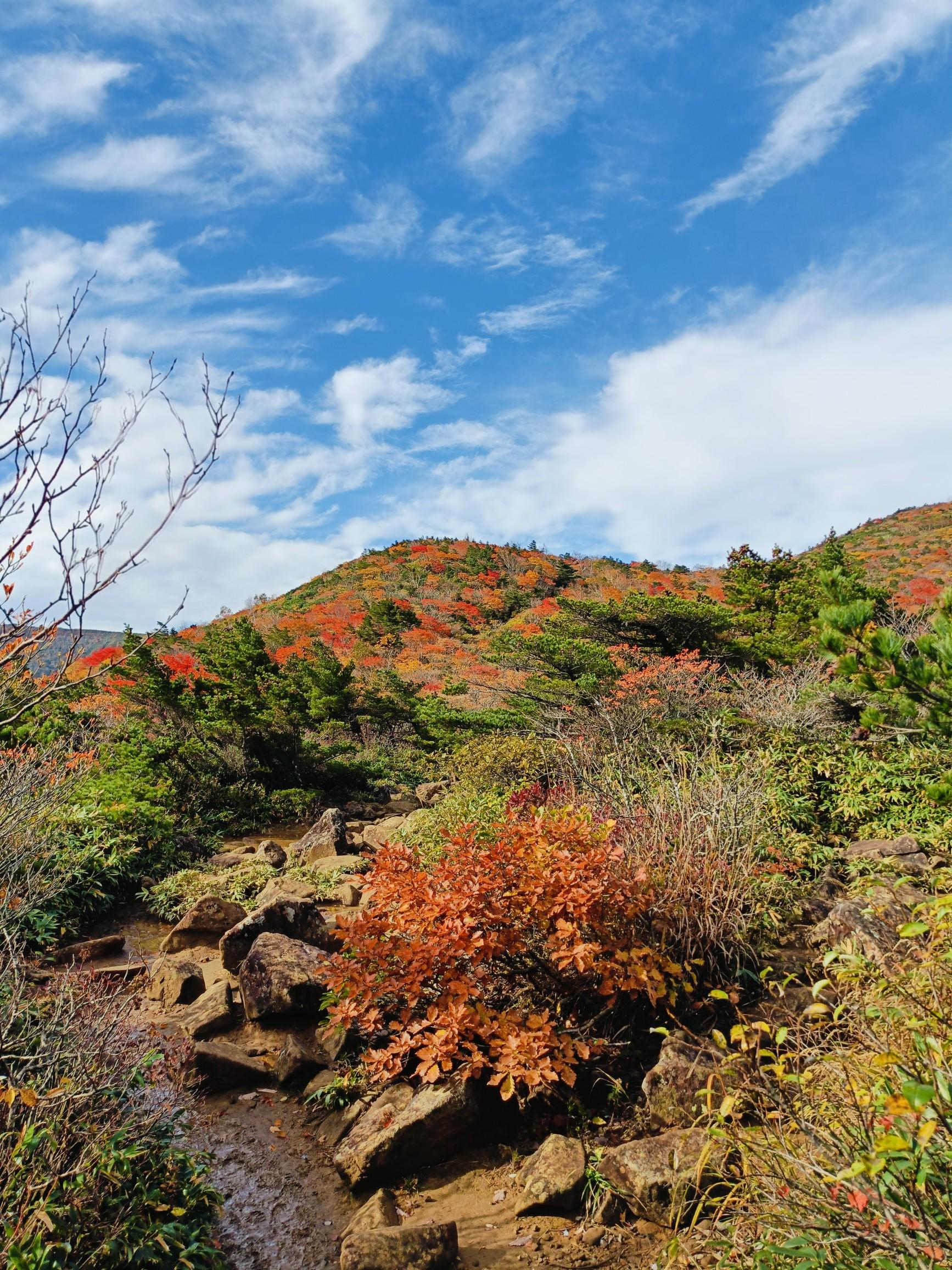 紅葉は今が見頃の安達太良山 / ukeyさんの安達太良山・箕輪山・鬼面山の活動データ | YAMAP / ヤマップ