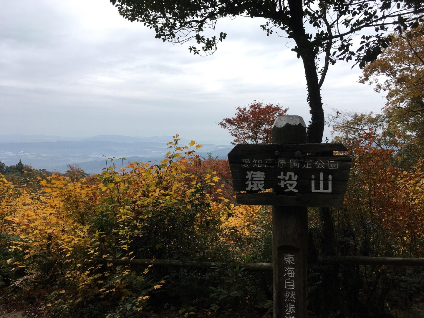 猿投山(深南TR)北一色⇒迫•飯野 / SIM ∞ (≡ ≡･阿留摩耶天χ) さんの猿投山・物見山の活動データ | YAMAP / ヤマップ