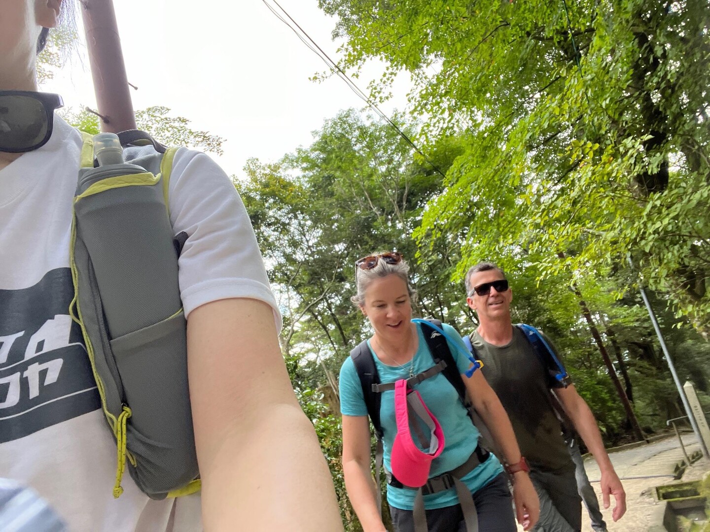 比叡山ドライブウェイで延暦寺観光🇳🇿案内 / Ikukoさんの比叡山・横高山・梶山の活動データ | YAMAP / ヤマップ