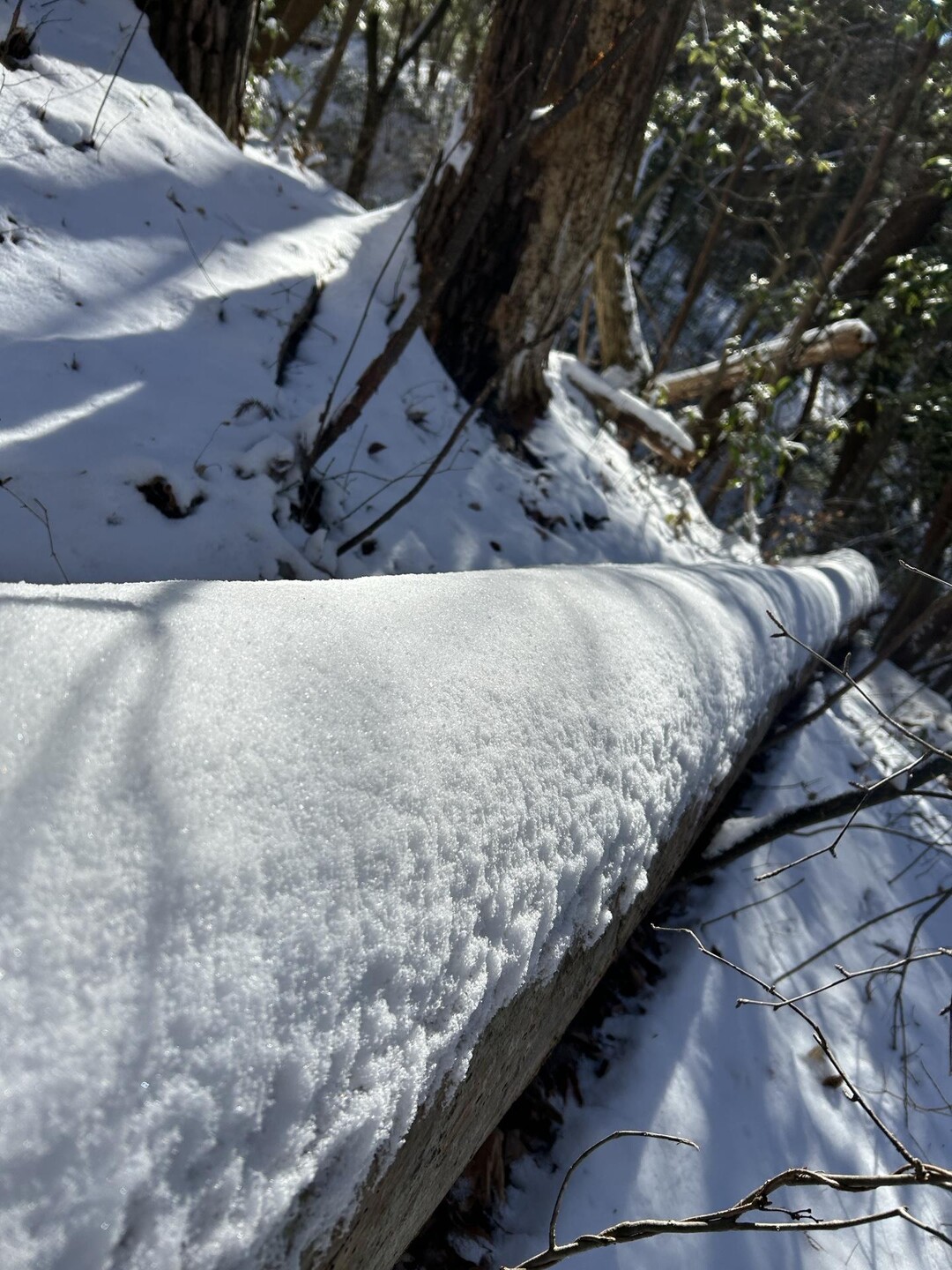 まじか。登り初めから縁起が良いじゃん！ / DA14@さんの里美富士の活動データ | YAMAP / ヤマップ