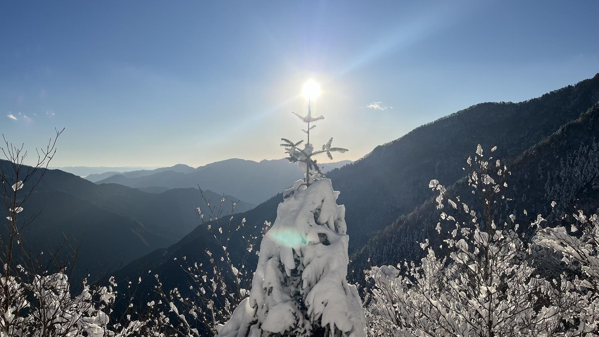 伊予富士 / sugi-rさんの瓶ヶ森・伊予富士の活動データ | YAMAP / ヤマップ