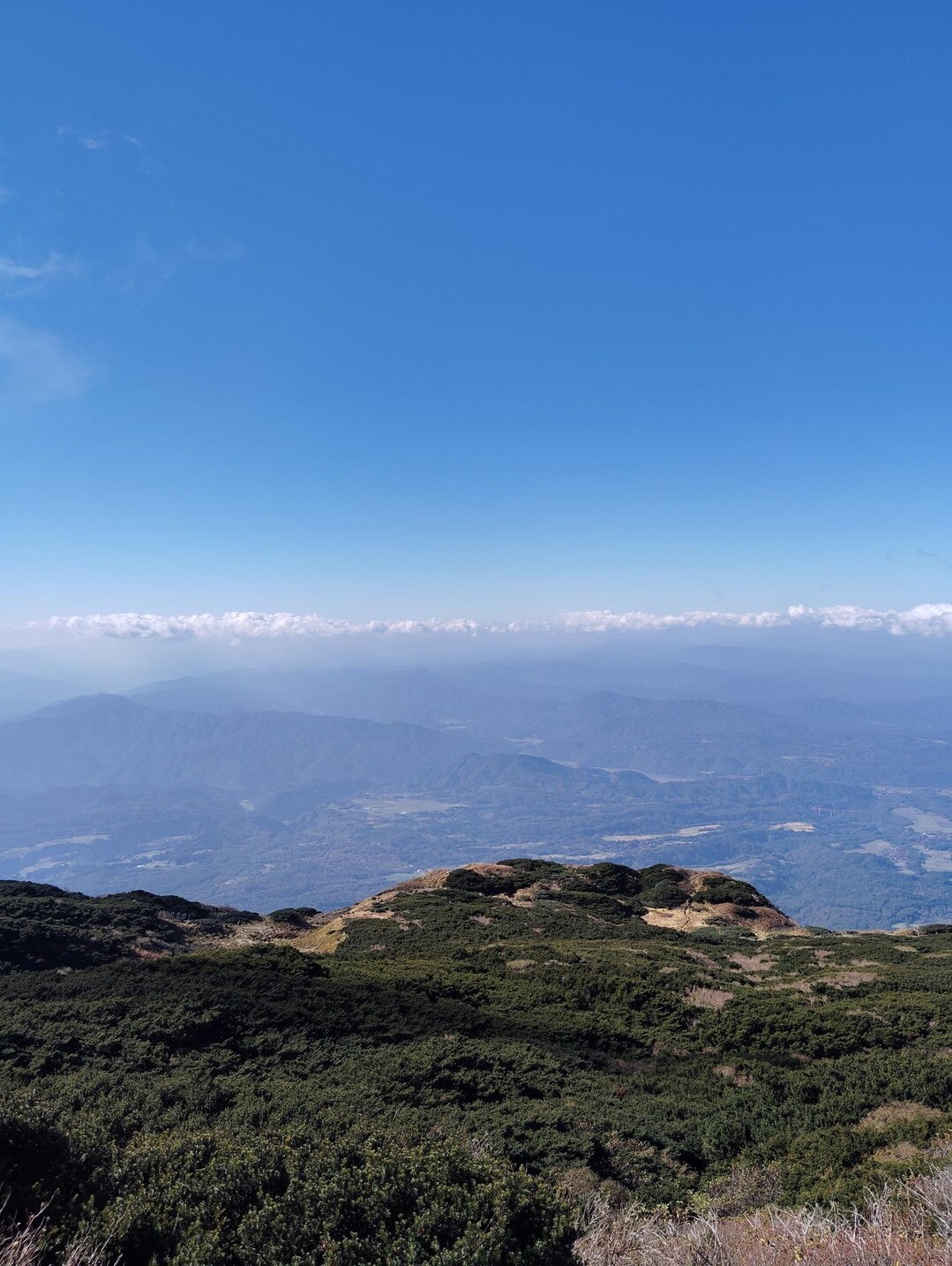 【登山】4度目の正直🎊 伯耆大山 / kota_papaさんの大山・甲ヶ山・野田ヶ山の活動データ | YAMAP / ヤマップ