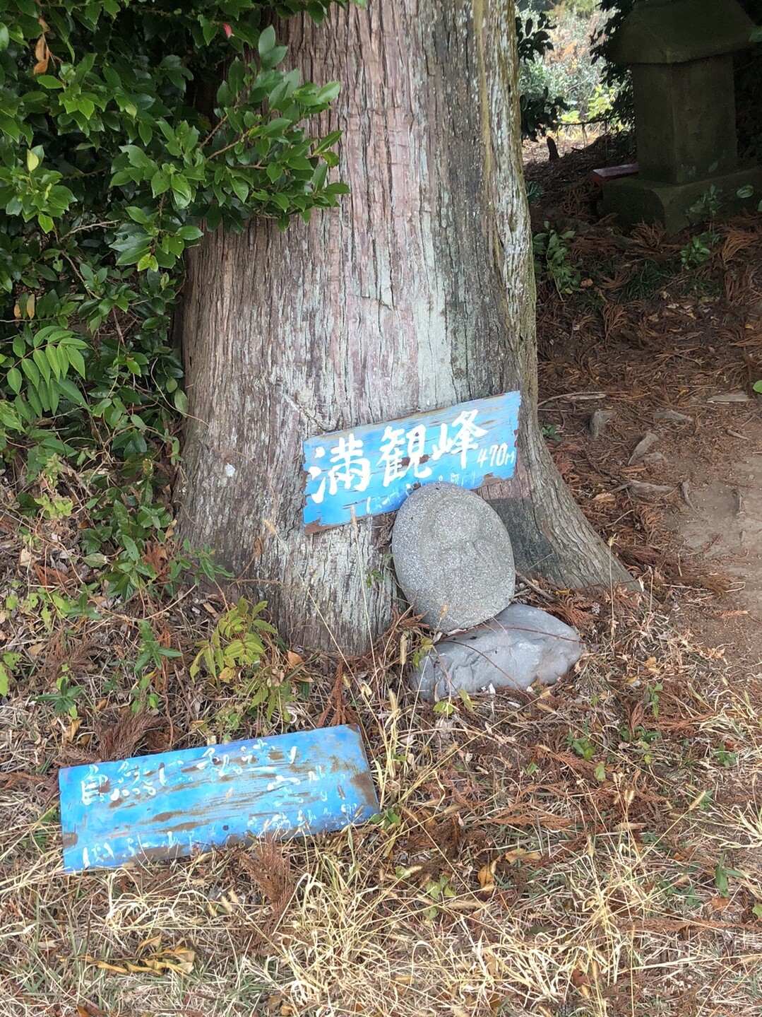 富士山が見えるはずのガッスガス満観峰 / mitsu32さんの焼津アルプス（高草山・満観峰・花沢山）・徳願寺山の活動データ | YAMAP / ヤマップ