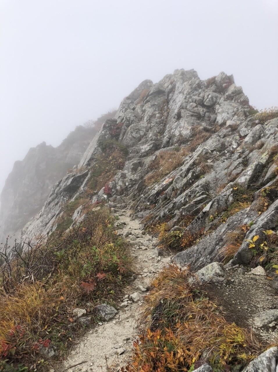 草履塚・地蔵岳 / maxさんの飯豊山・大日岳・御西岳の活動データ | YAMAP / ヤマップ