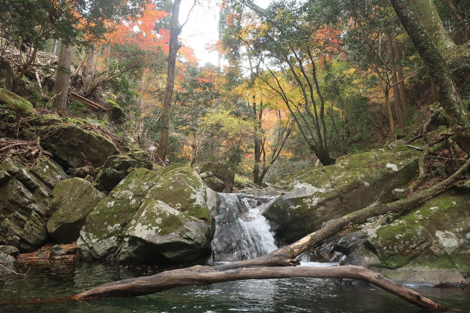 本宮山（初冬）くらがり渓谷～頂上＆砥鹿神社奥宮ピストン / ukonさんの本宮山・大日山・風頭山の活動データ | YAMAP / ヤマップ